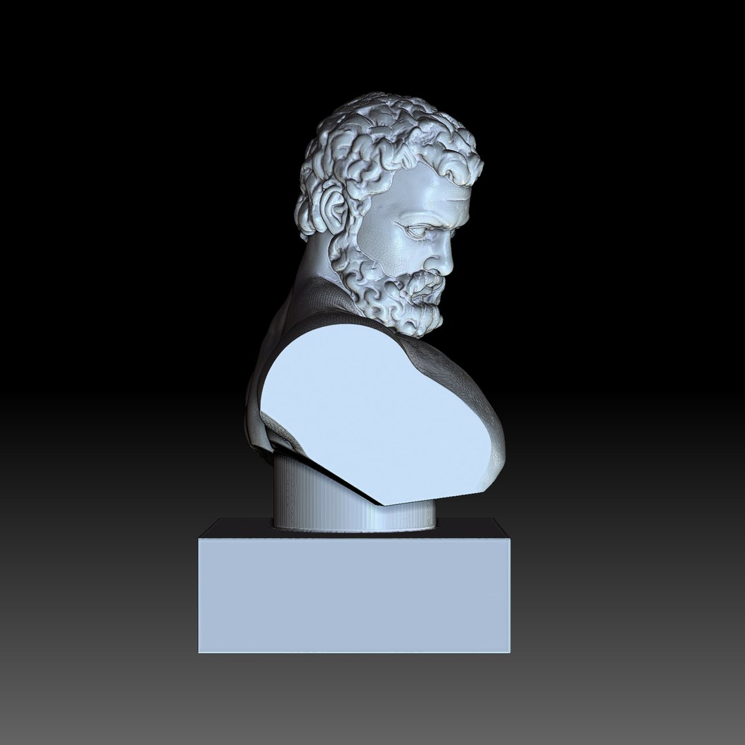 3D Model Hercule Bust - TurboSquid 1979481