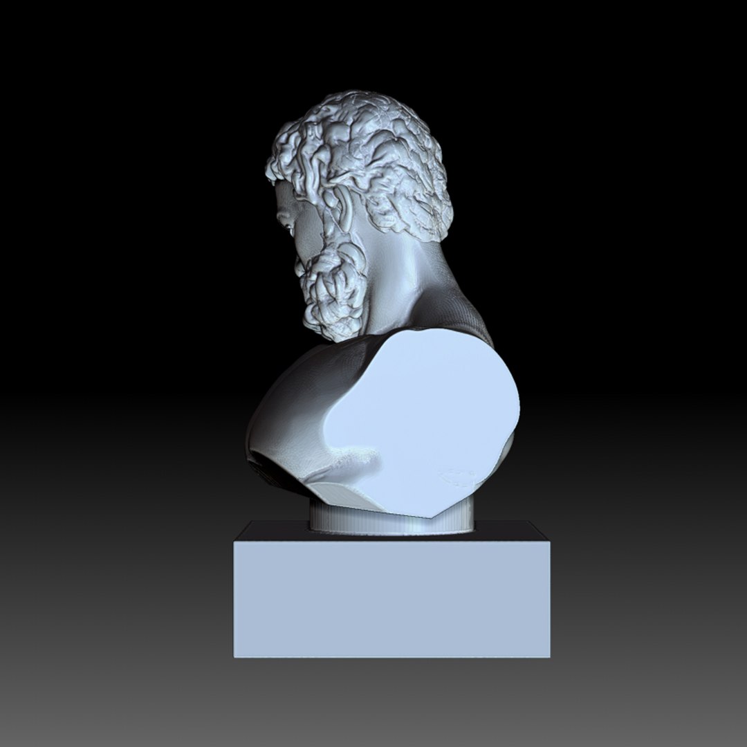 3D Model Hercule Bust - TurboSquid 1979481