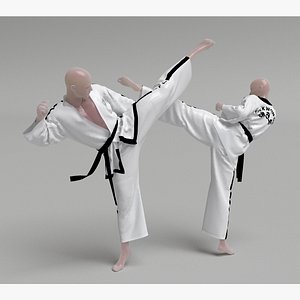 3D Taekwondo Models - Browse & Download Formats - TurboSquid