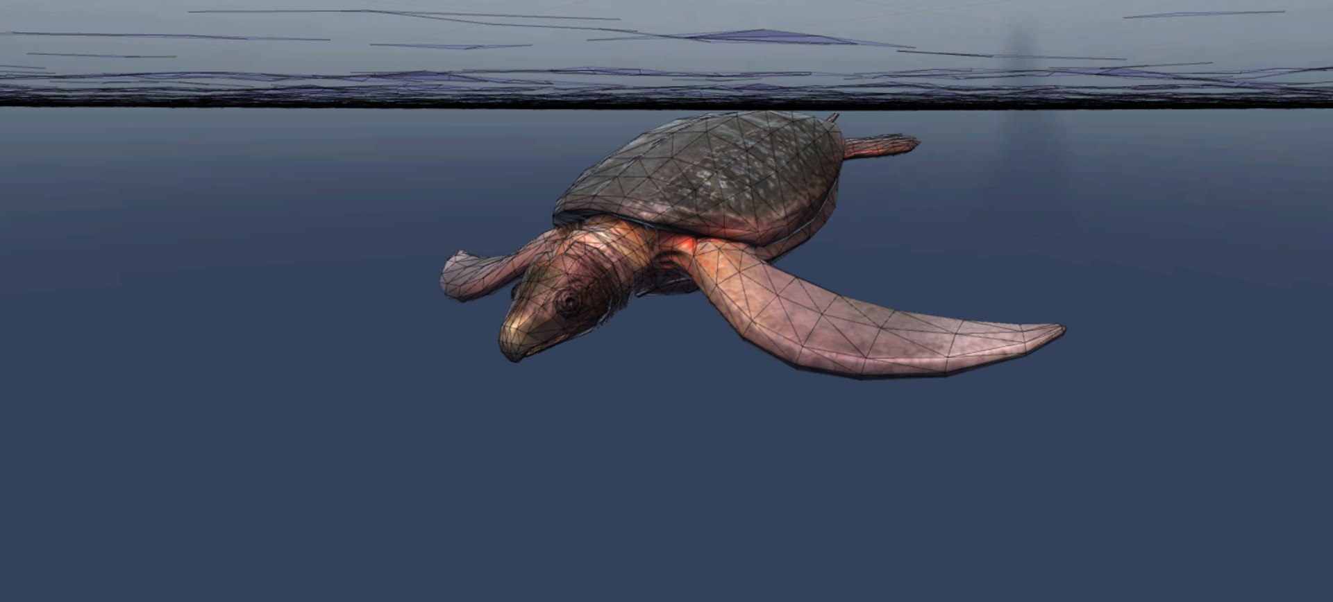 Animals Swim 3D Model - TurboSquid 1436066