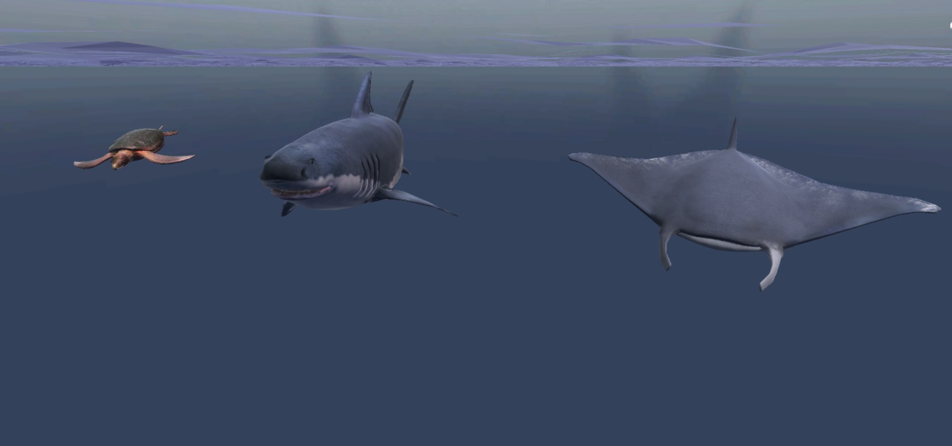 Animals Swim 3D Model - TurboSquid 1436066