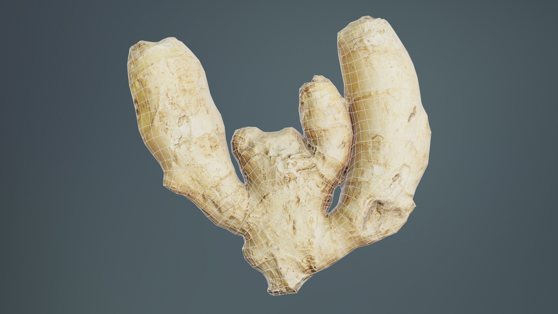 Ginger Remastered 3D Model - TurboSquid 2362456
