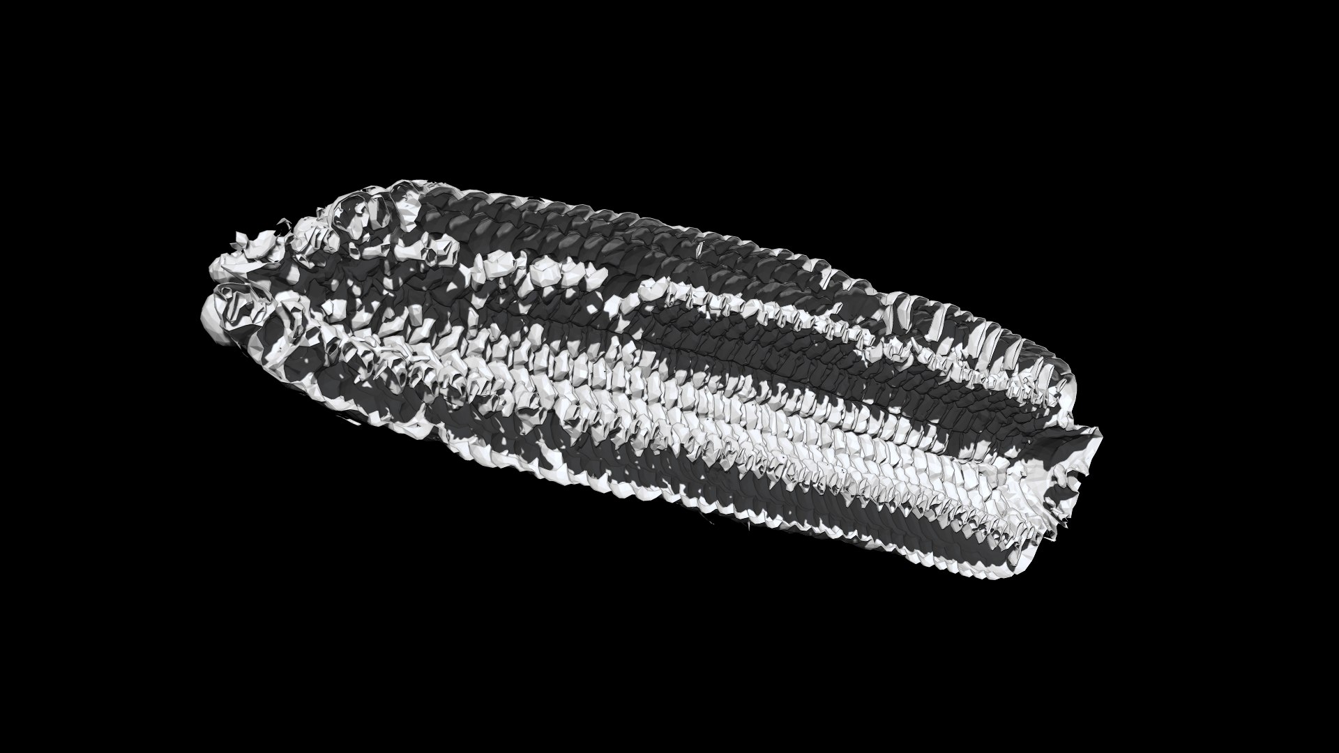 Corn 3D CT Scan Model Cut1 Half Decimae 8 Percent 3D - TurboSquid 1945216