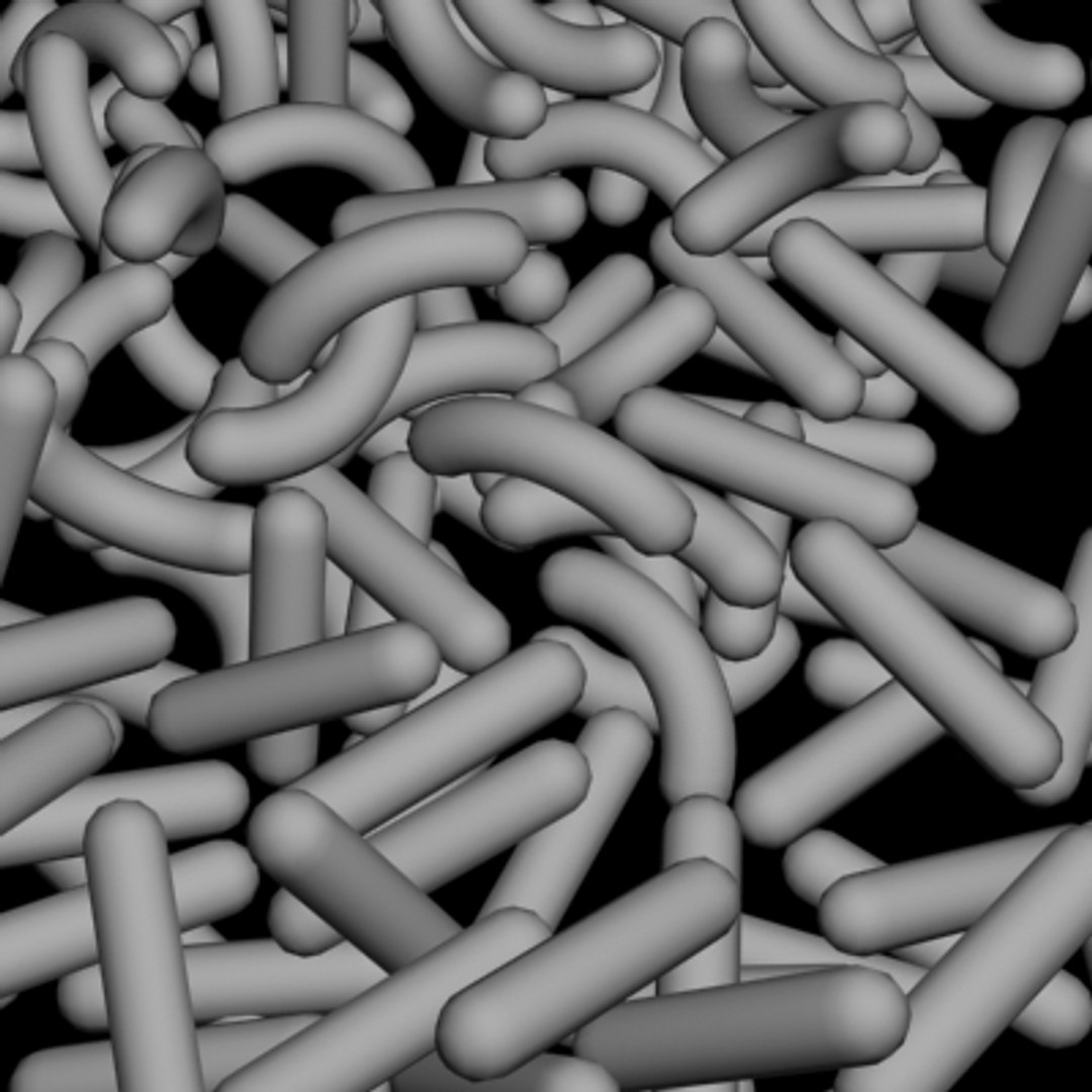 Max Tuberculosis Virus Bacteria