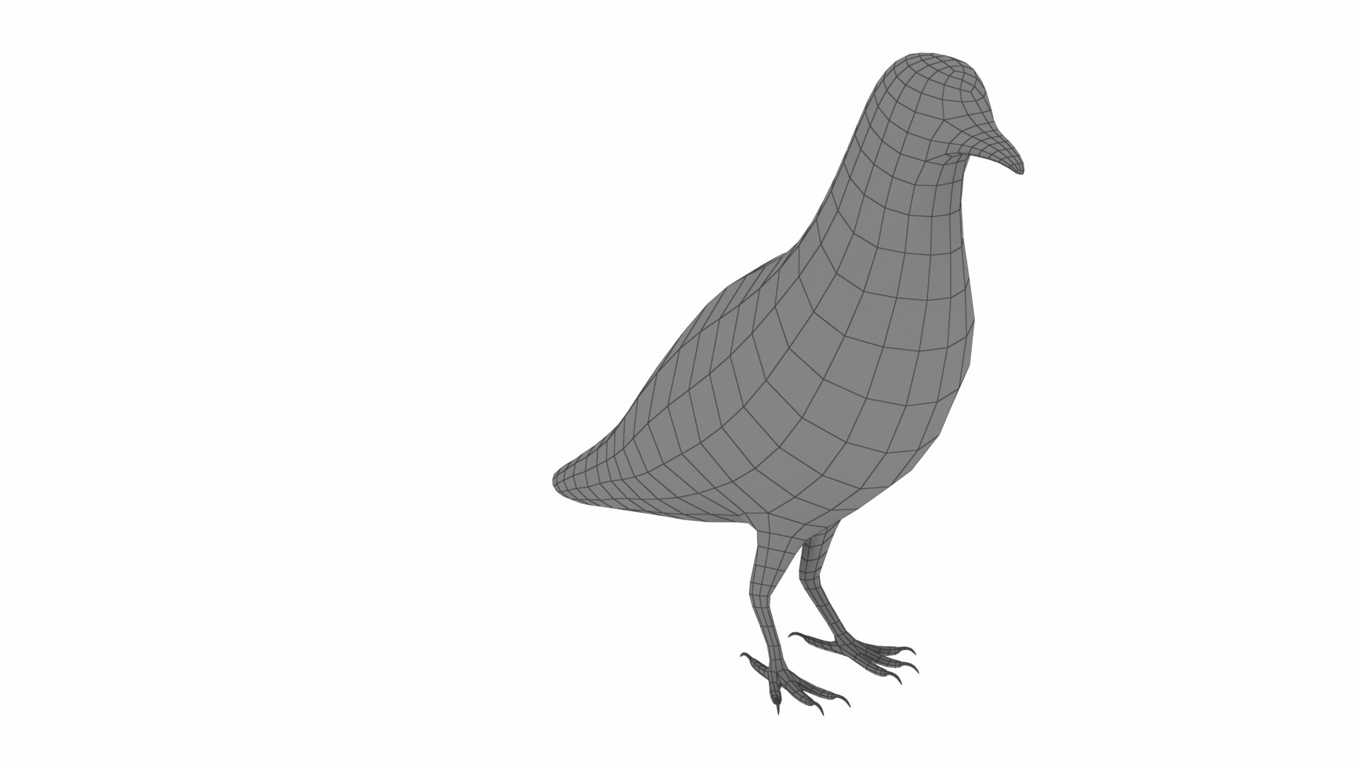 3D Dove Collection Model - TurboSquid 2329885