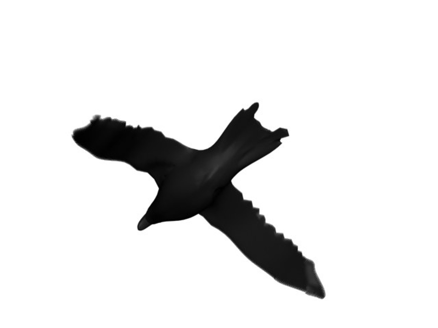 3d Bird Fly Motion Model