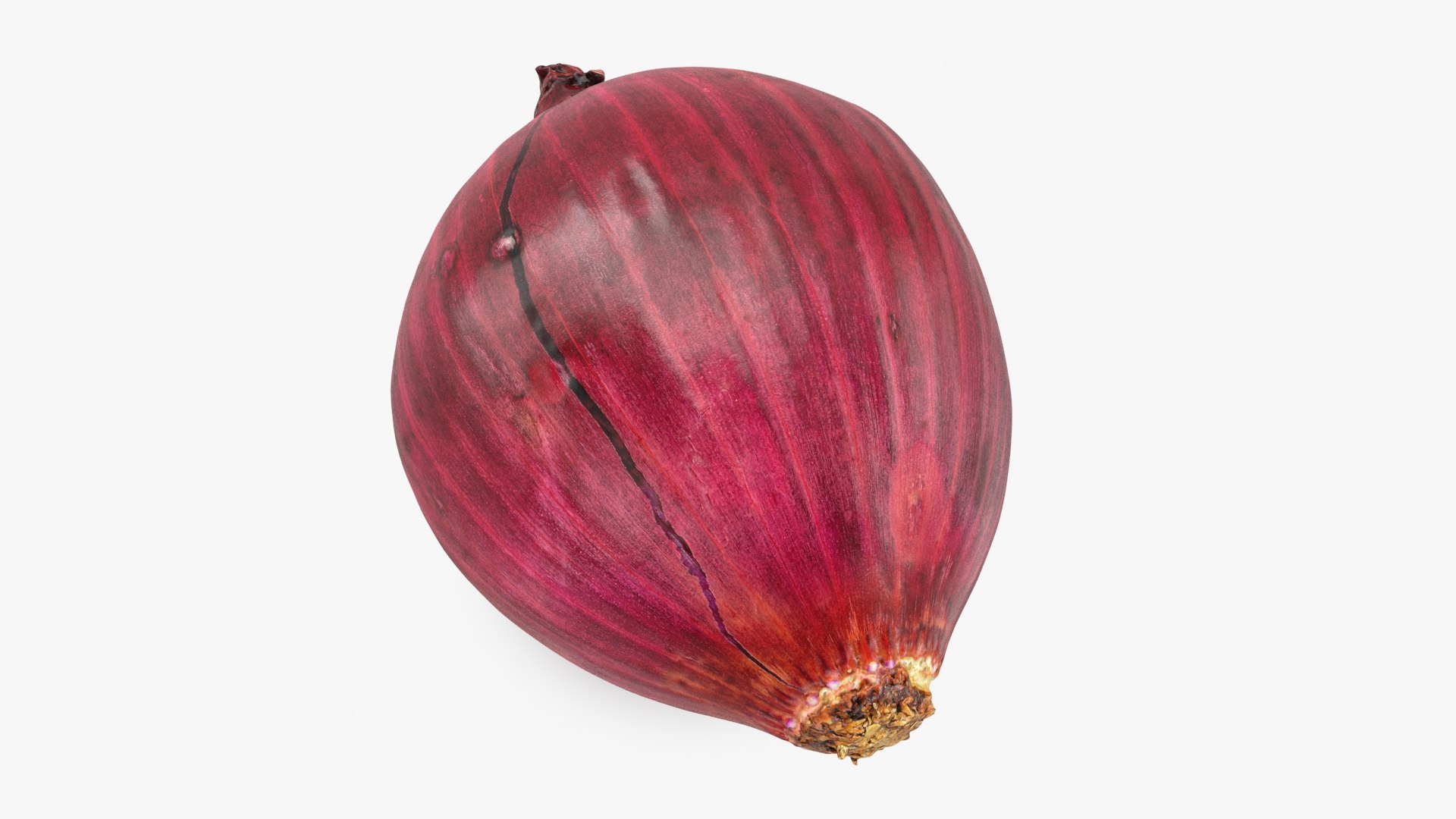 3D Model Red Onion 2 - TurboSquid 2133158