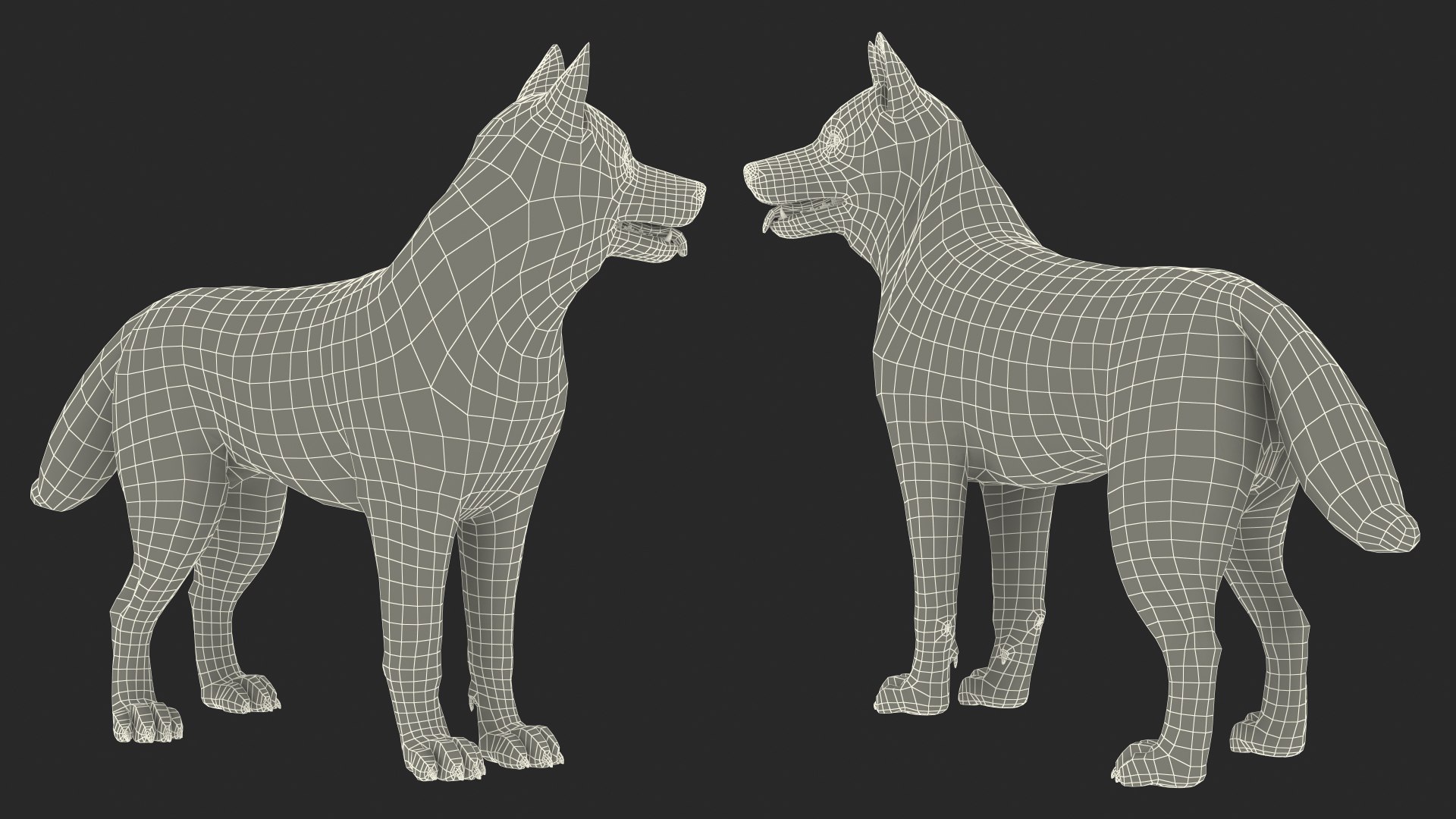 Siberian Husky Gray Standing Pose Fur 3D Model - TurboSquid 1799377