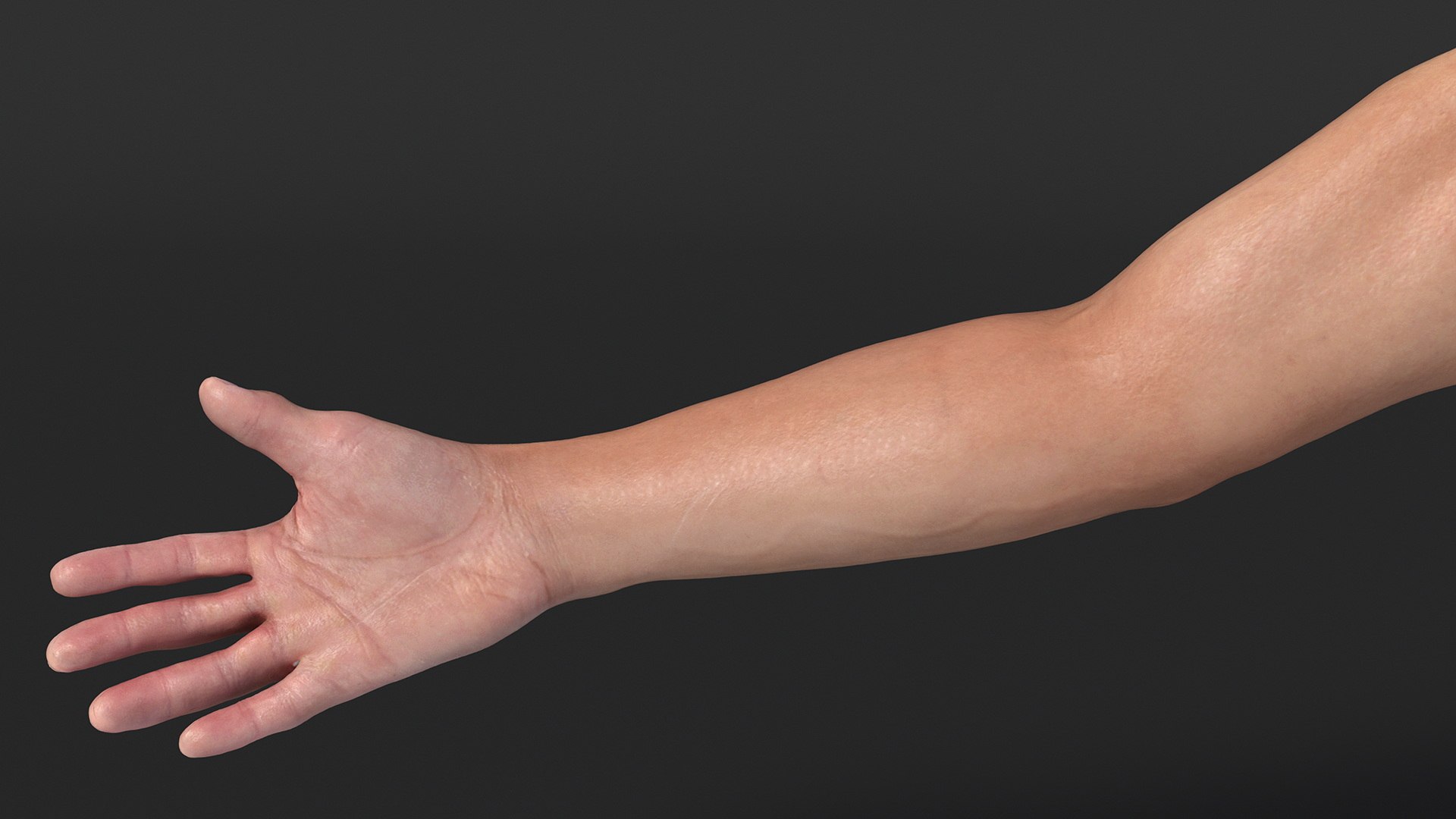 Realistic Male Hand Sculpt 3D - TurboSquid 2325295