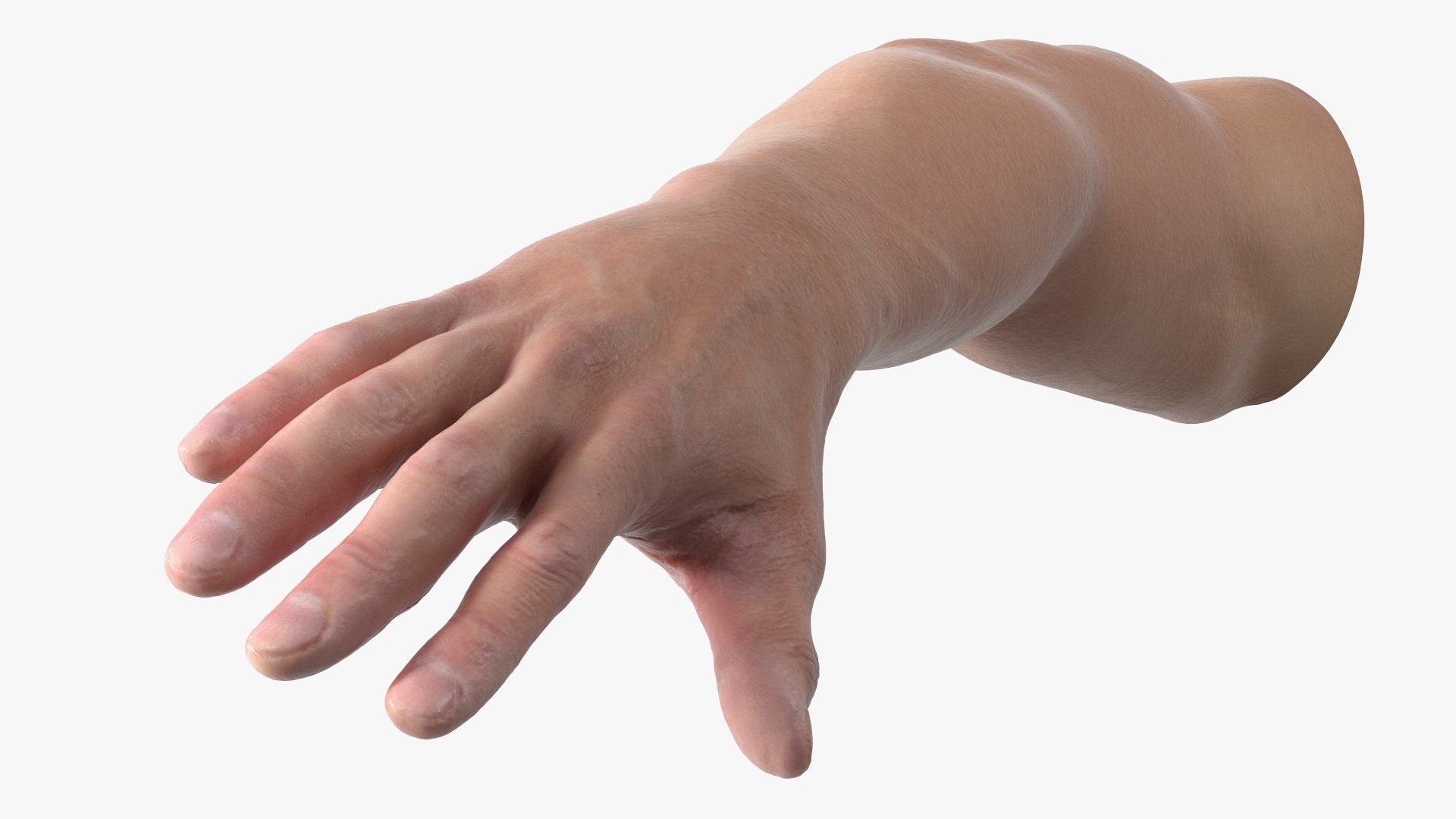 Realistic Male Hand Sculpt 3D - TurboSquid 2325295