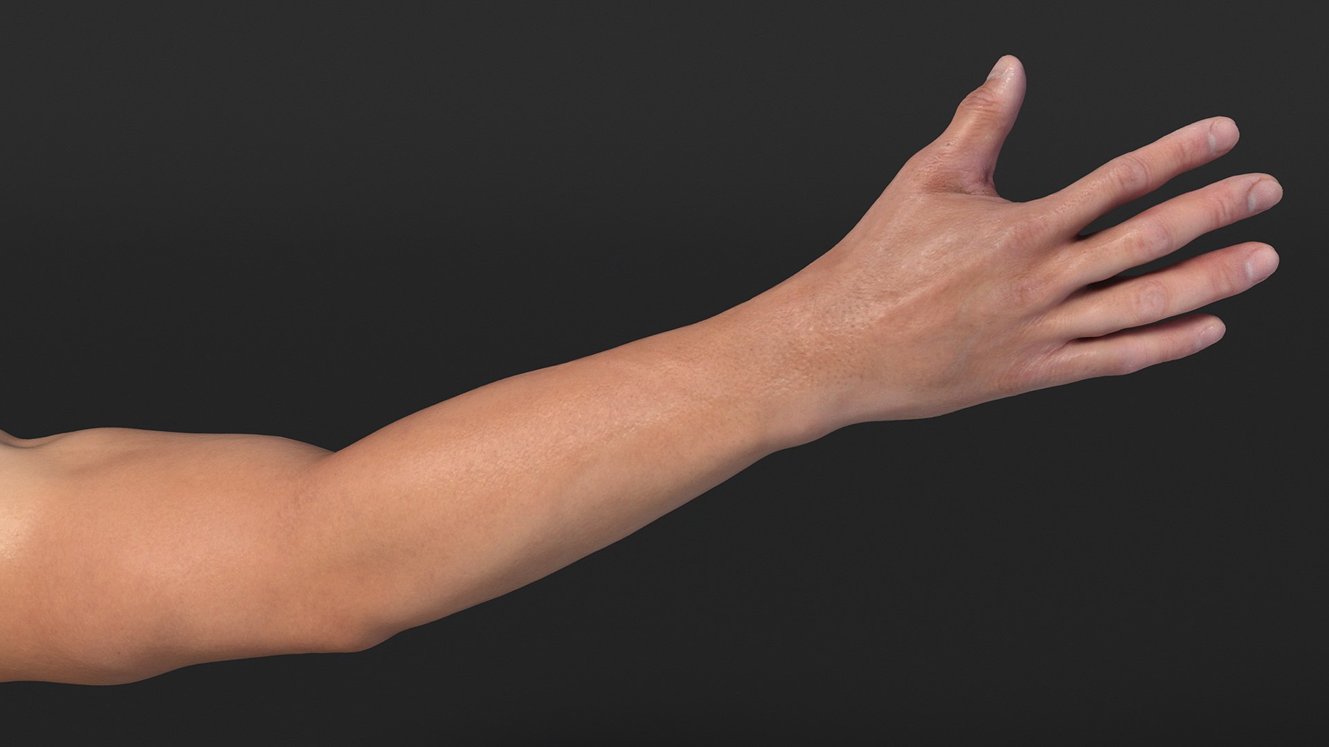 Realistic Male Hand Sculpt 3D - TurboSquid 2325295