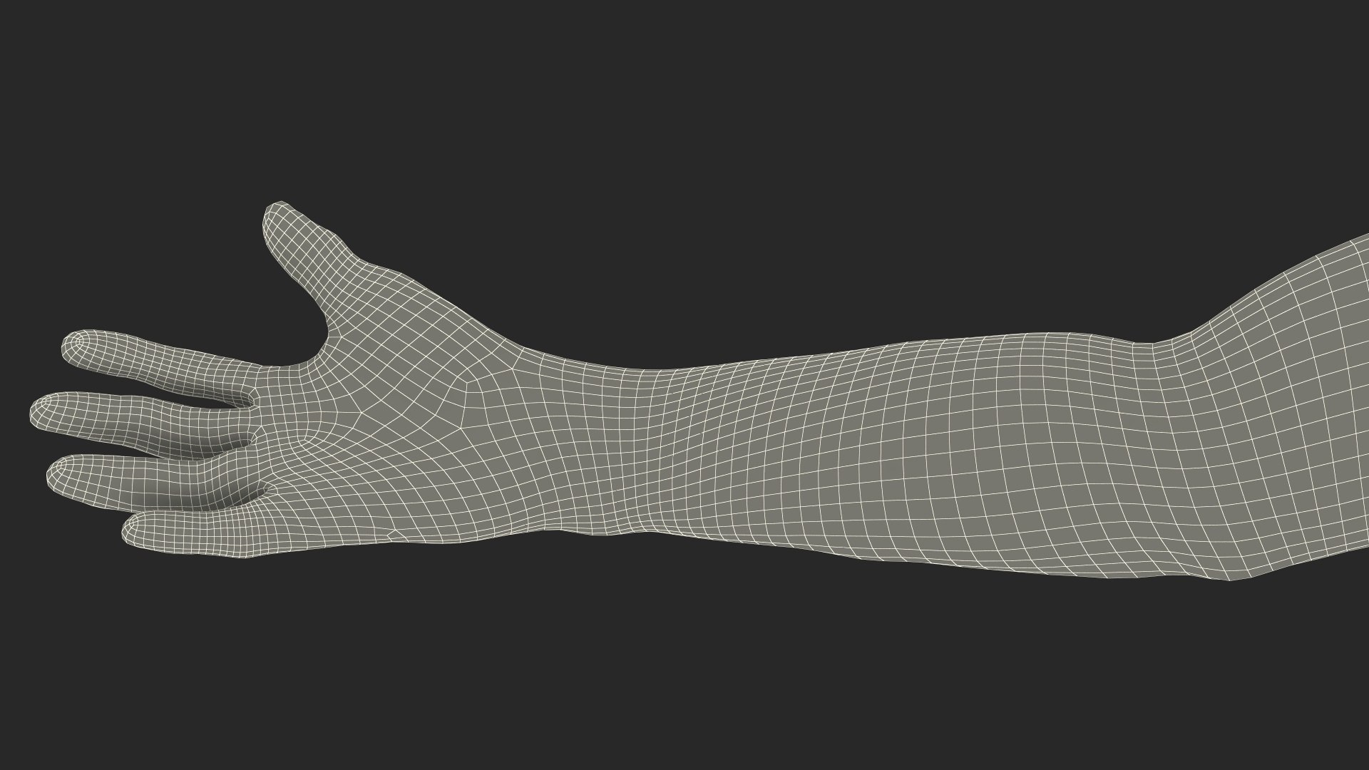 Realistic Male Hand Sculpt 3D - TurboSquid 2325295