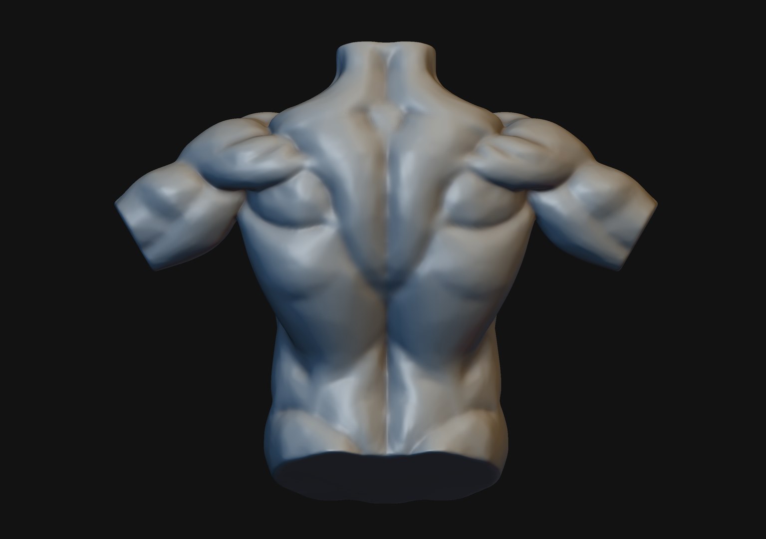 Male Torso 3D Model - TurboSquid 1875387