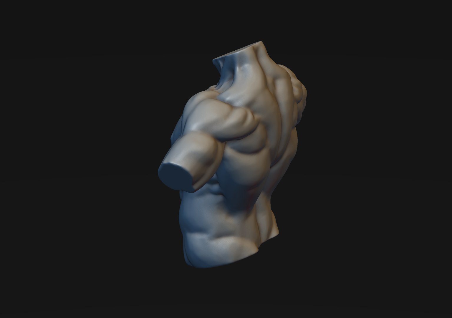 Male Torso 3D Model - TurboSquid 1875387