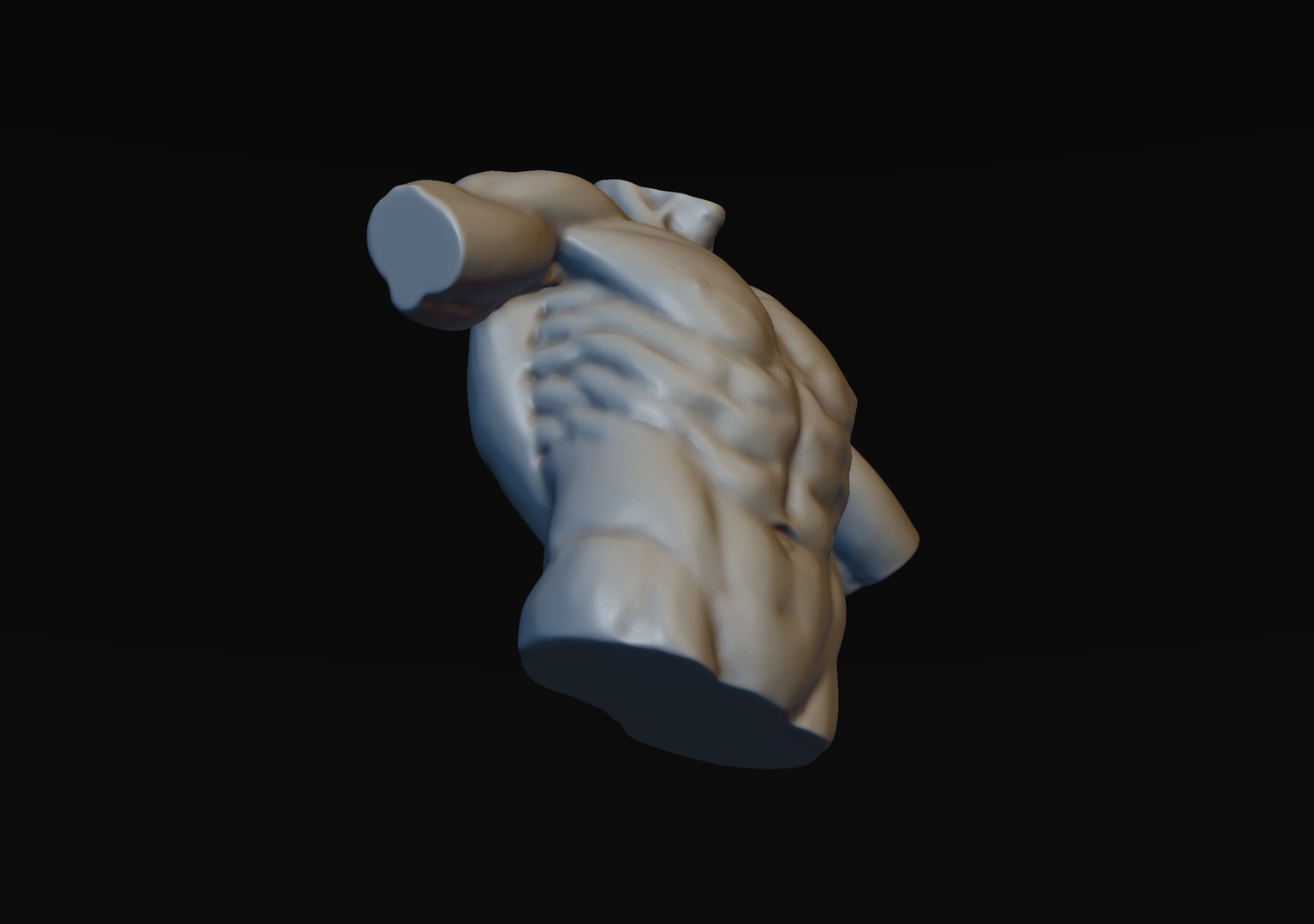 Male Torso 3D Model - TurboSquid 1875387
