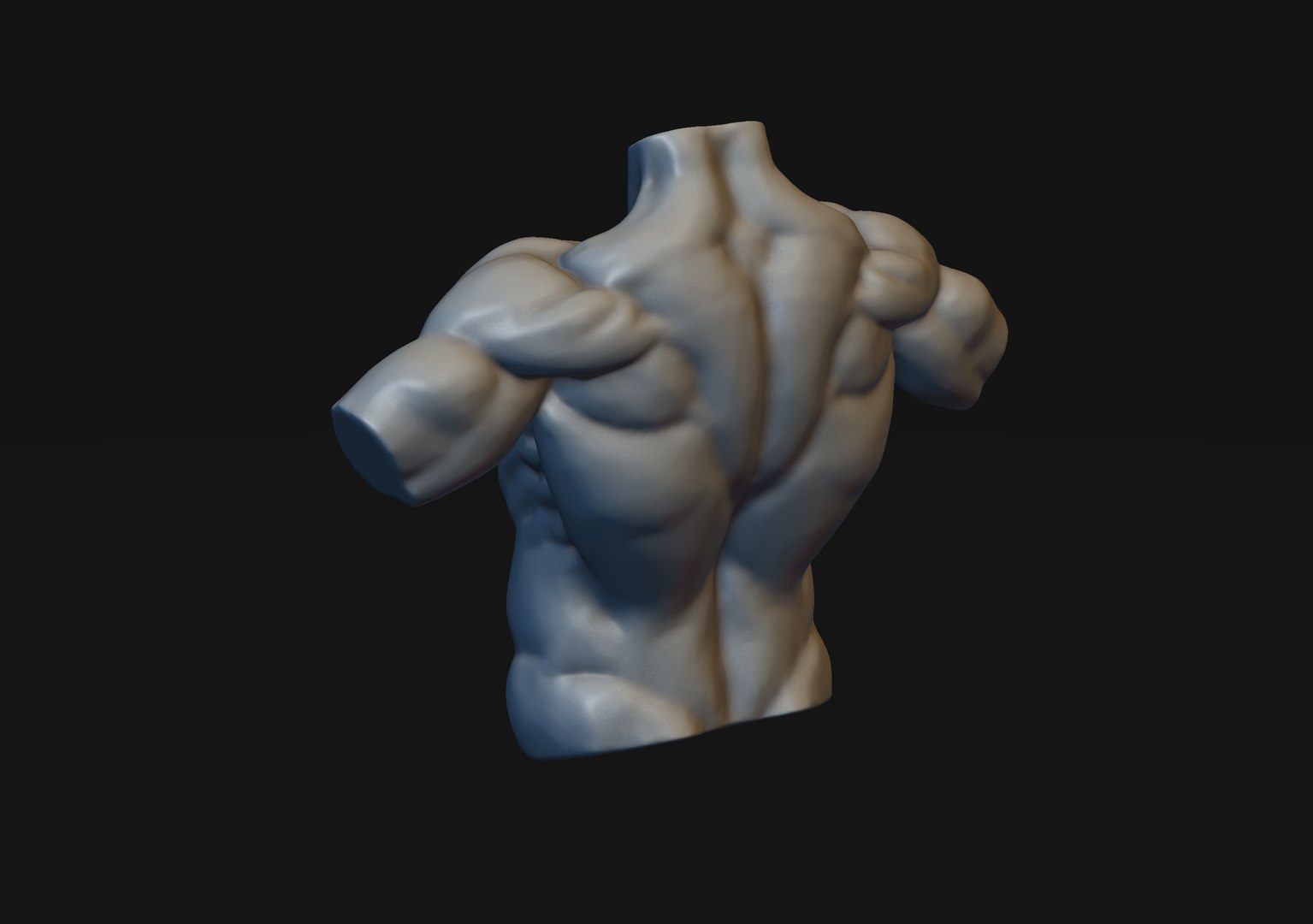 Male Torso 3D Model - TurboSquid 1875387