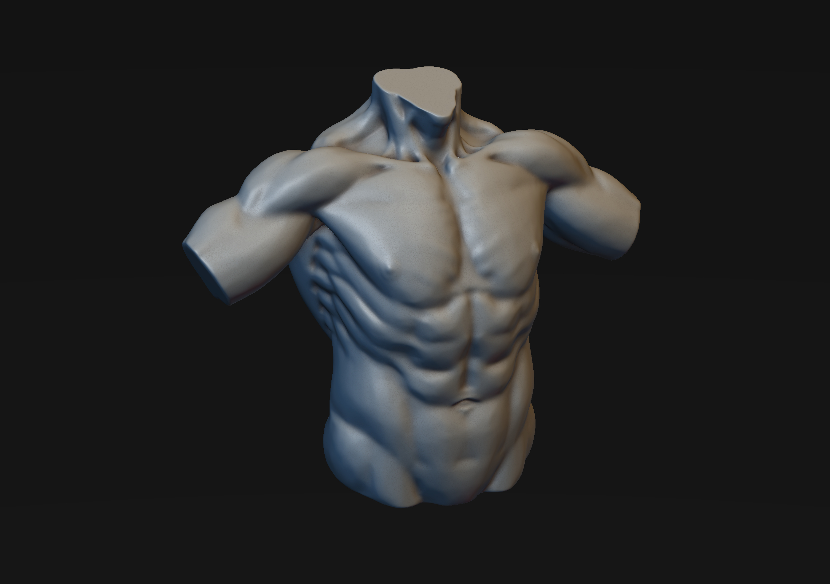 modelo 3d torso masculino - TurboSquid 1875387