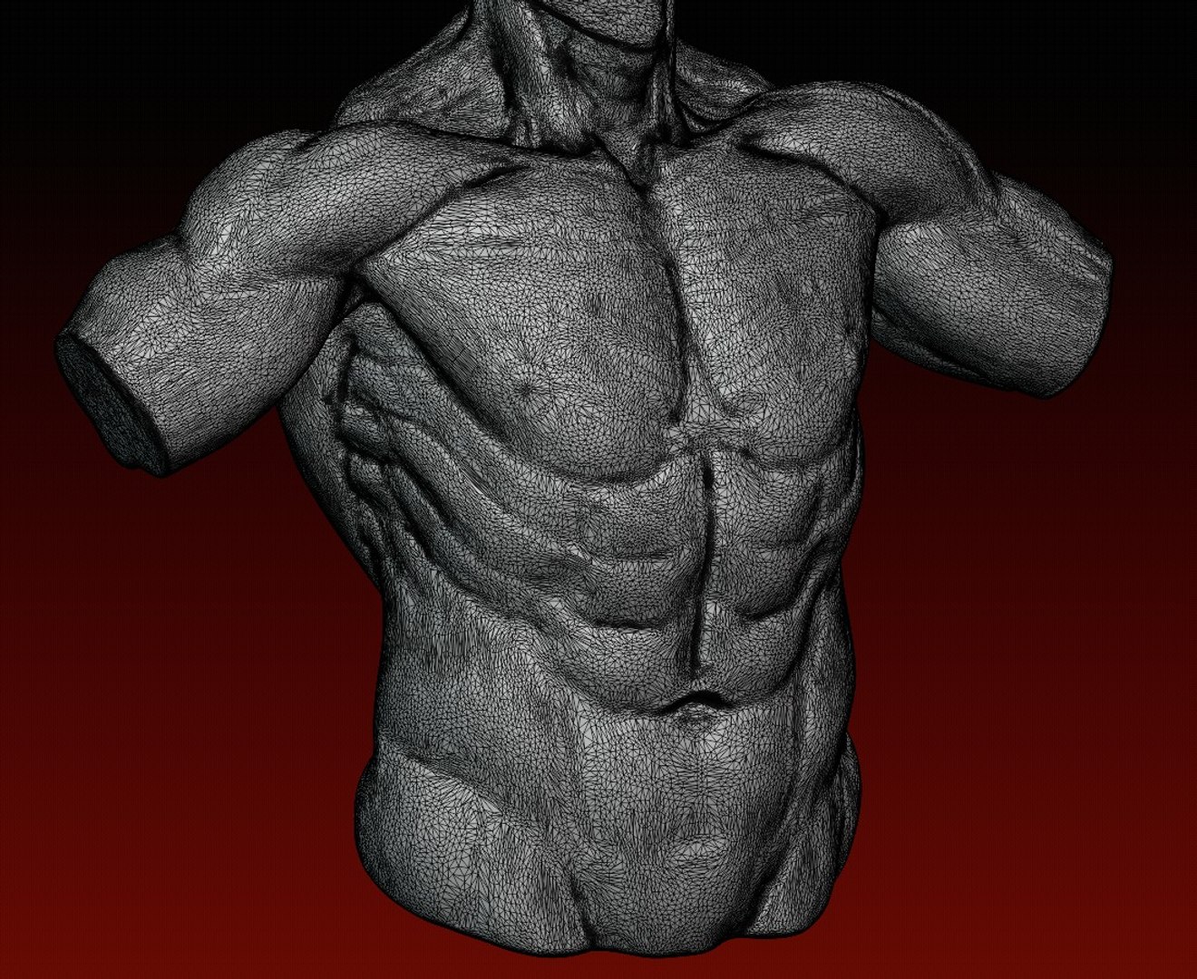 Male Torso 3D Model - TurboSquid 1875387