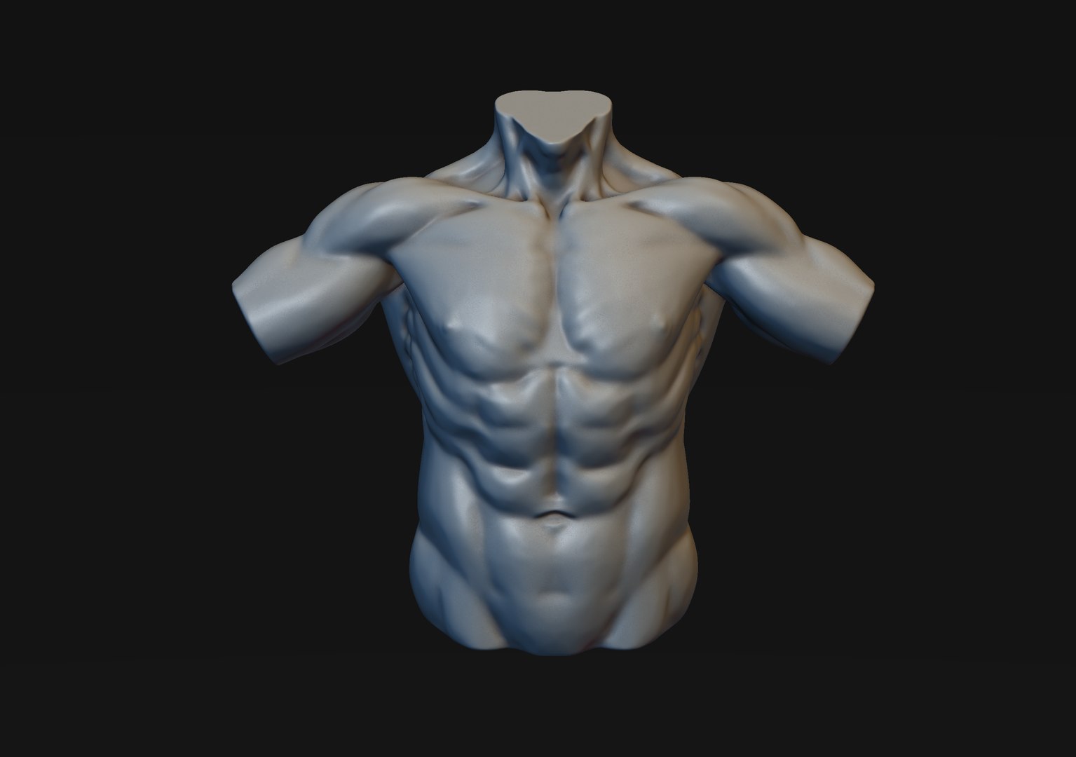 Male Torso 3D Model - TurboSquid 1875387