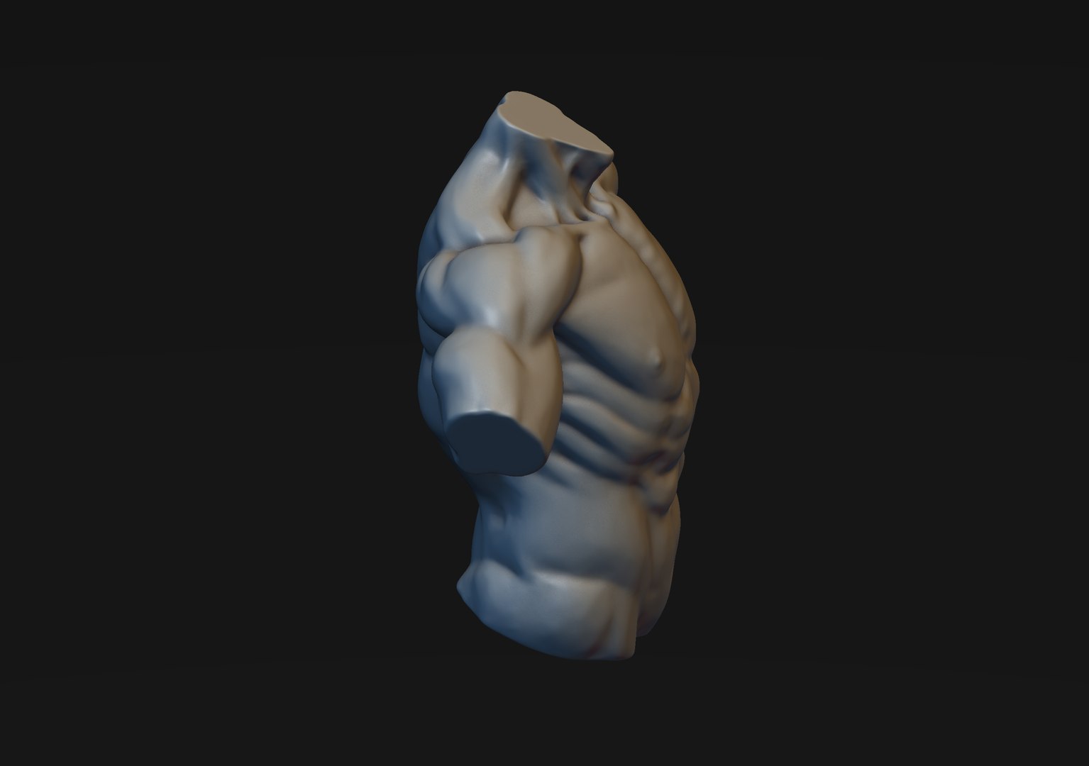 Male Torso 3D Model - TurboSquid 1875387