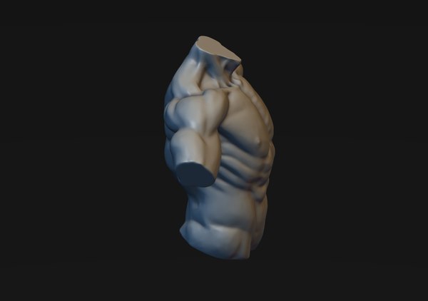 modelo 3d torso masculino - TurboSquid 1875387