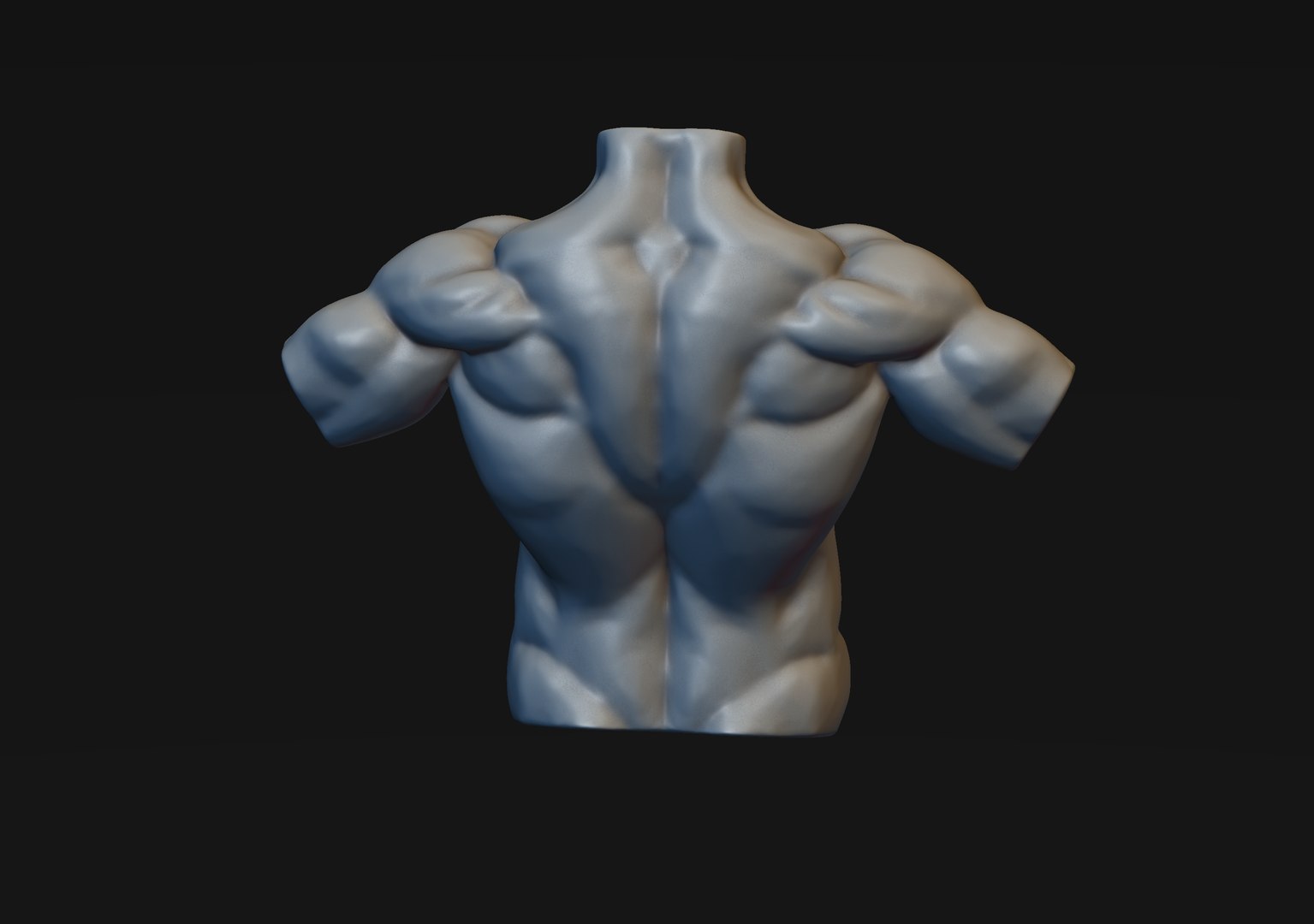 Male Torso 3D Model - TurboSquid 1875387