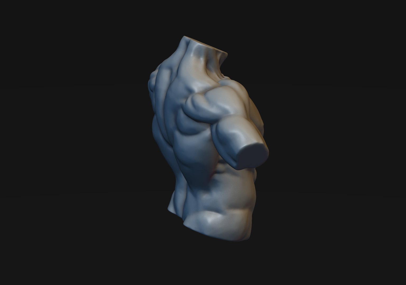 Male Torso 3D Model - TurboSquid 1875387