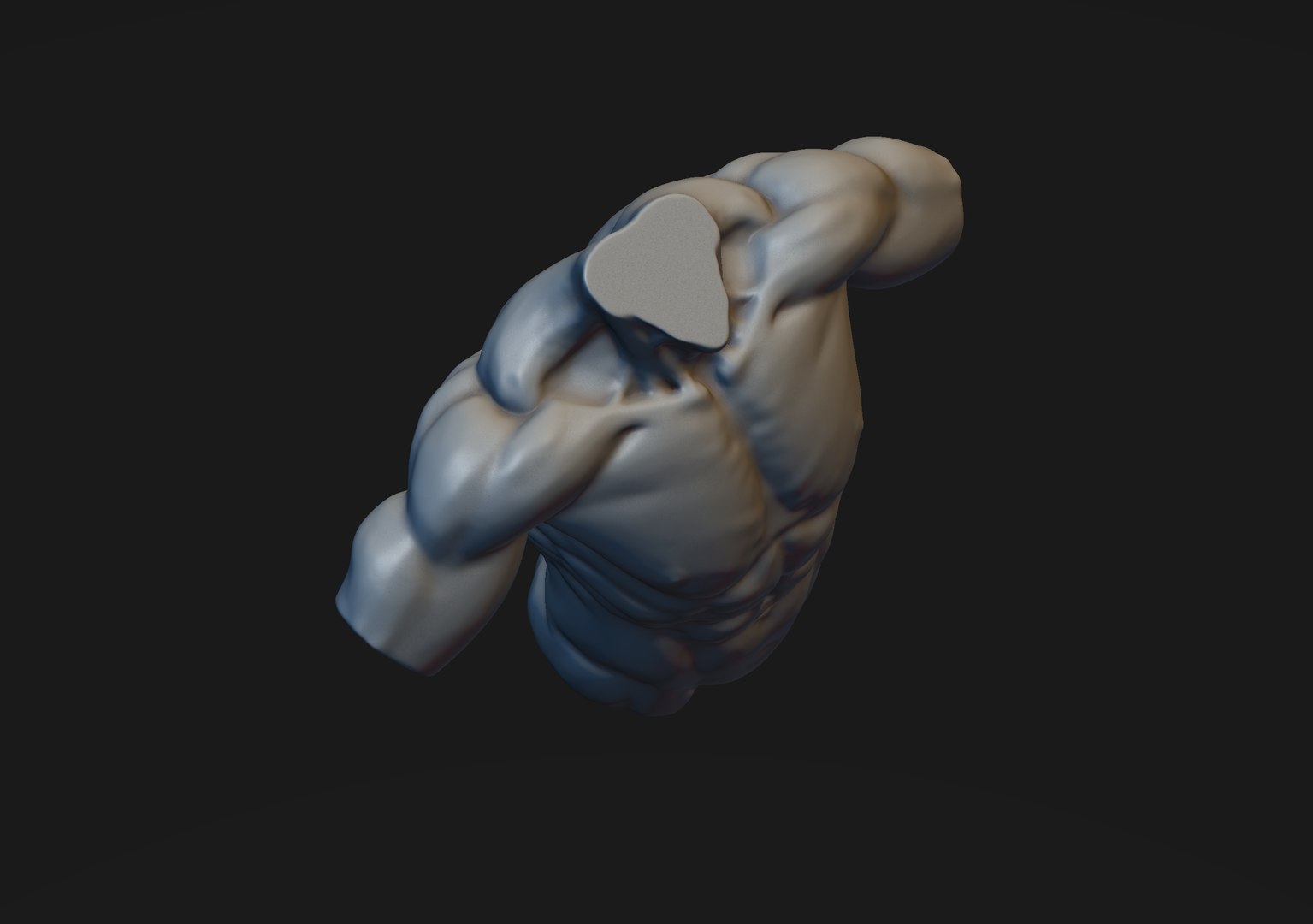 Male Torso 3D Model - TurboSquid 1875387