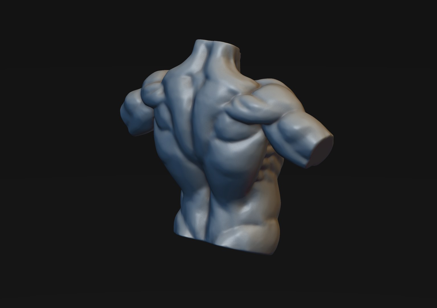 Male Torso 3D Model - TurboSquid 1875387