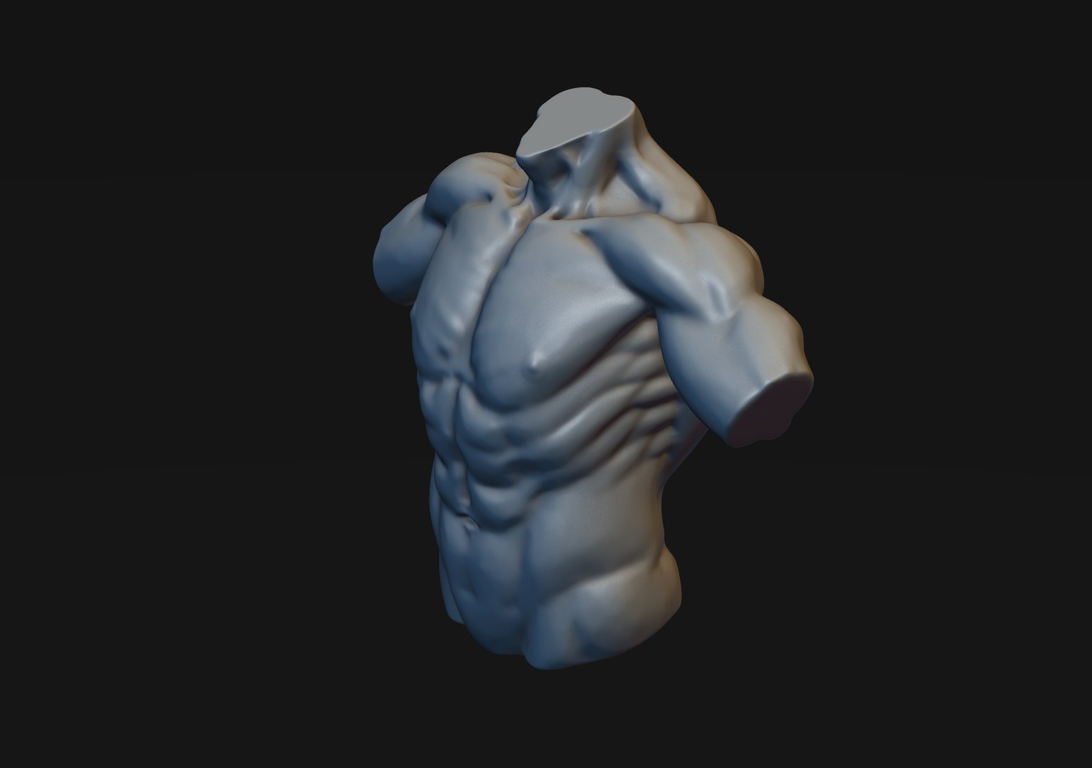 Male Torso 3D Model - TurboSquid 1875387