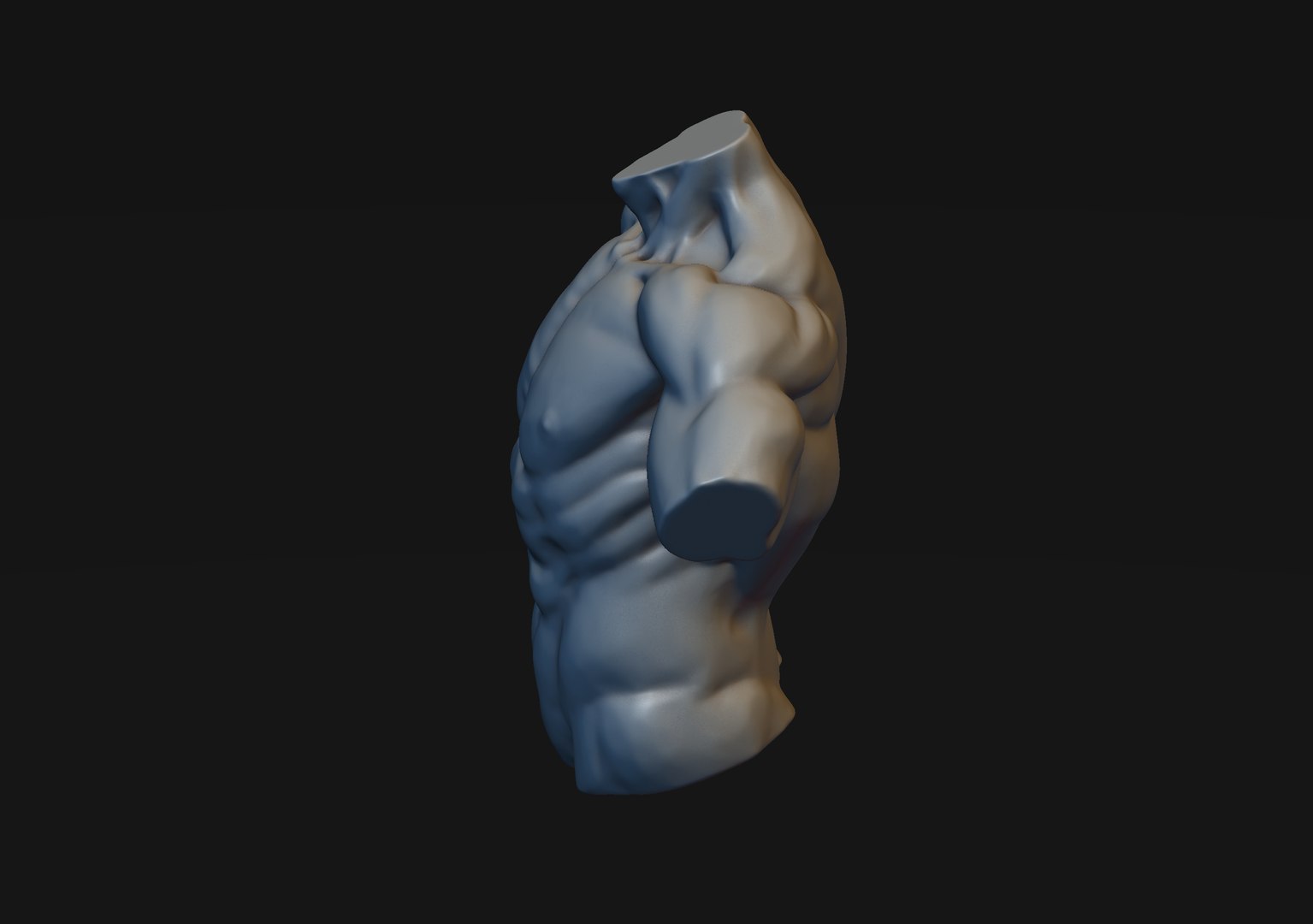 Male Torso 3D Model - TurboSquid 1875387