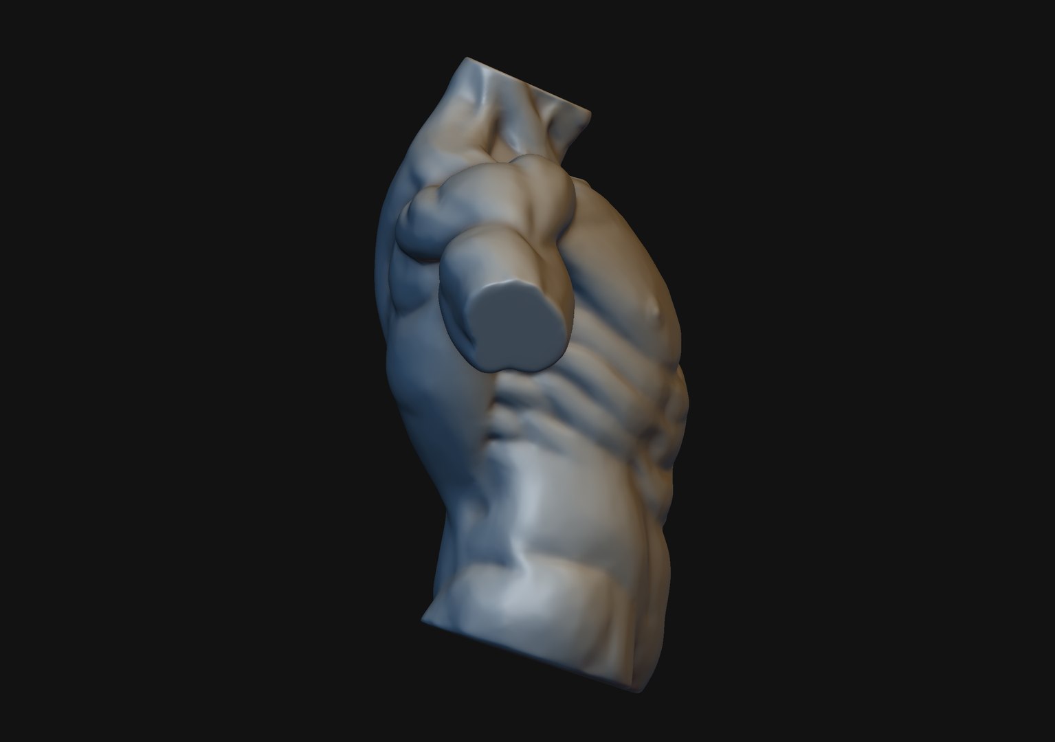 Male Torso 3D Model - TurboSquid 1875387