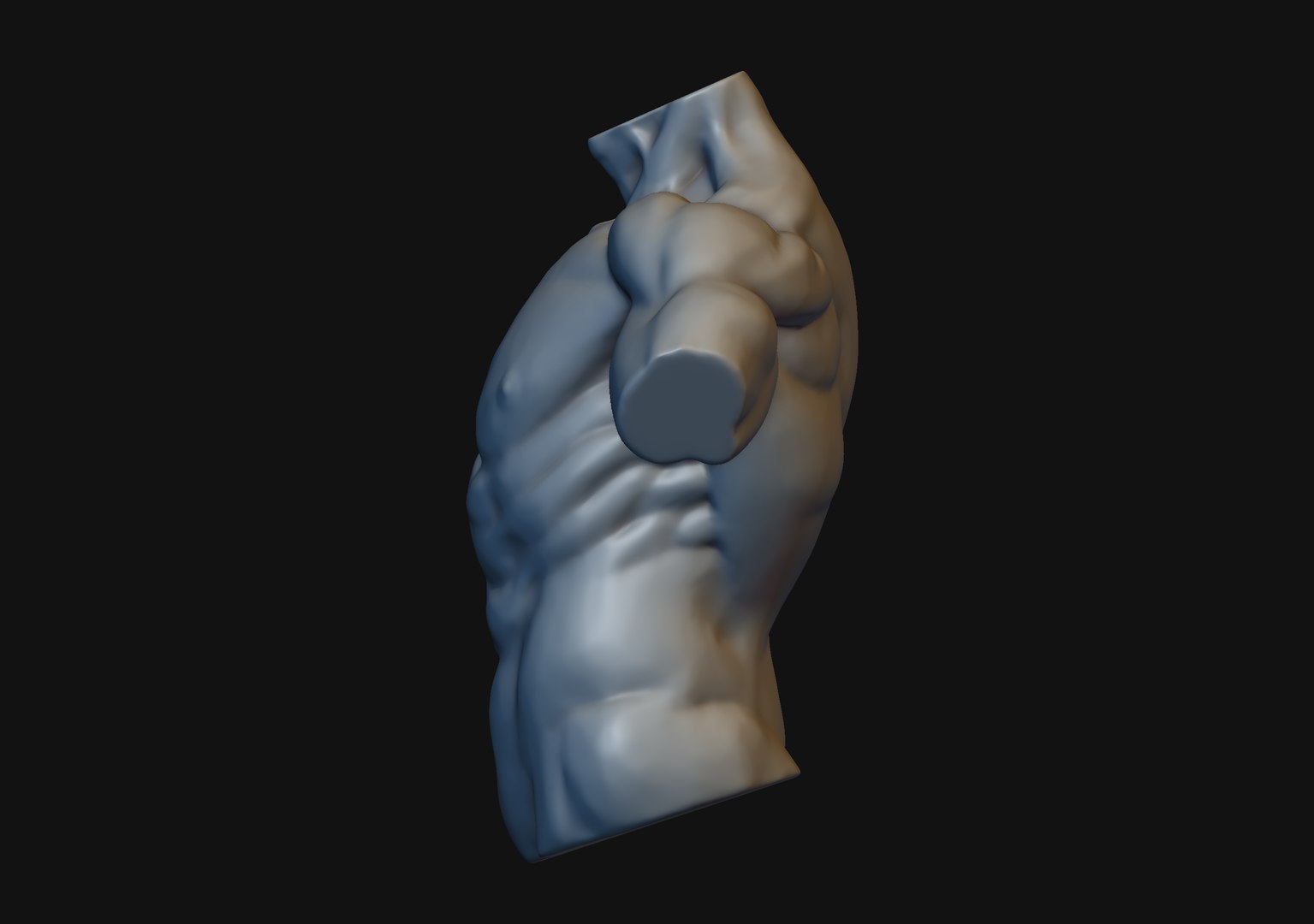 Male Torso 3D Model - TurboSquid 1875387