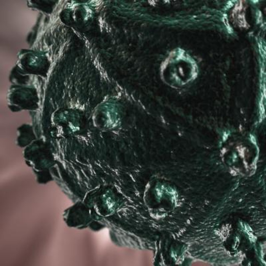 Human Virus Hiv 3d Model