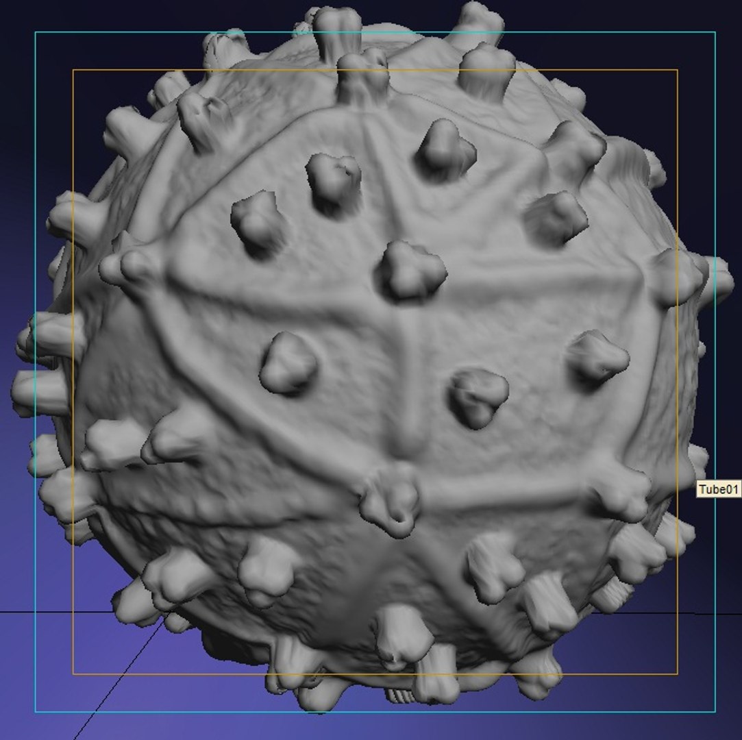 Human Virus Hiv 3d Model
