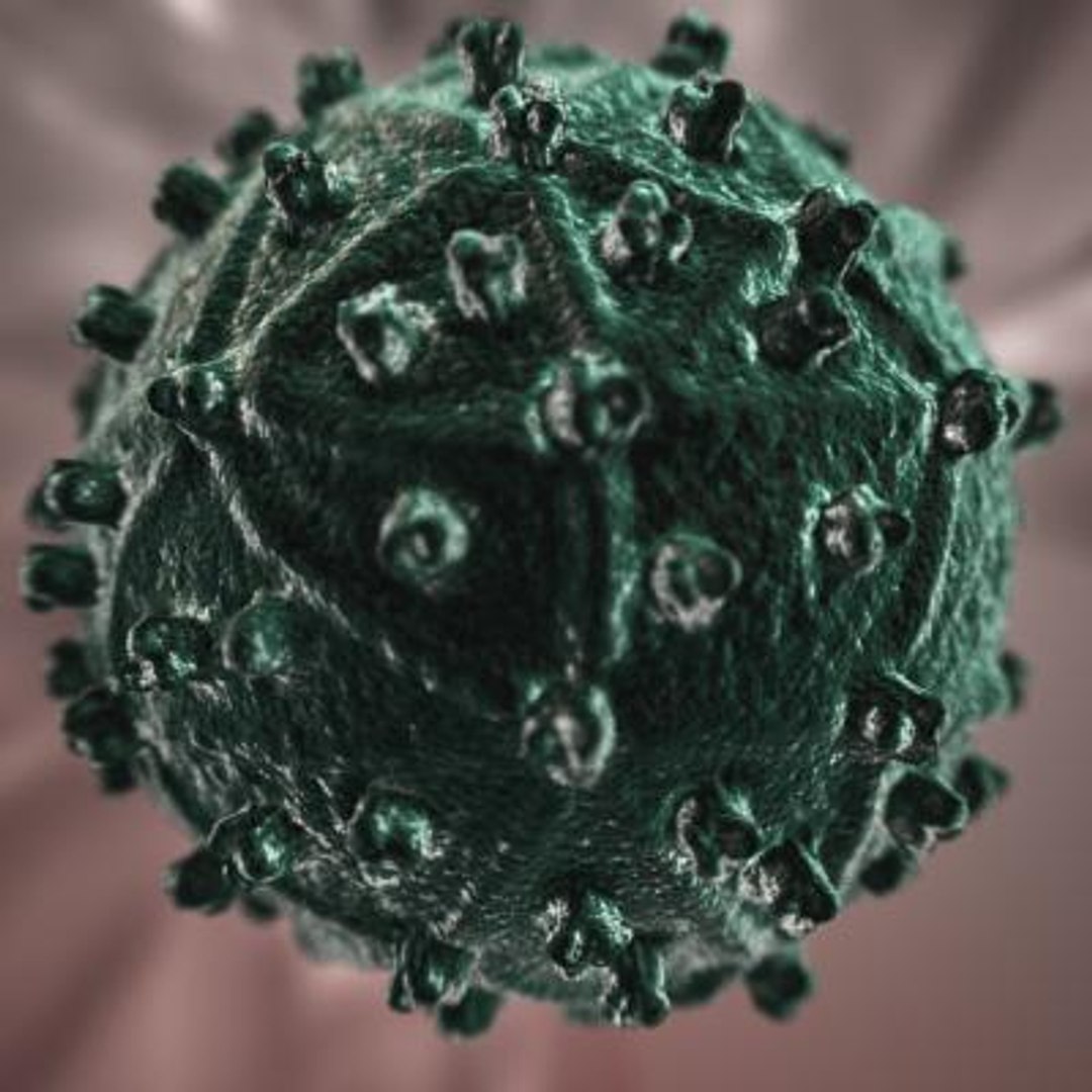 Human Virus Hiv 3d Model