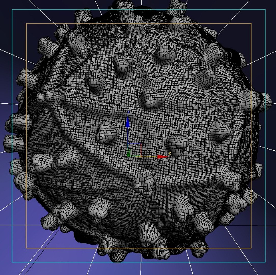 Human Virus Hiv 3d Model