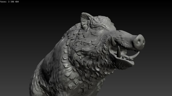 3D model boar - TurboSquid 1170871