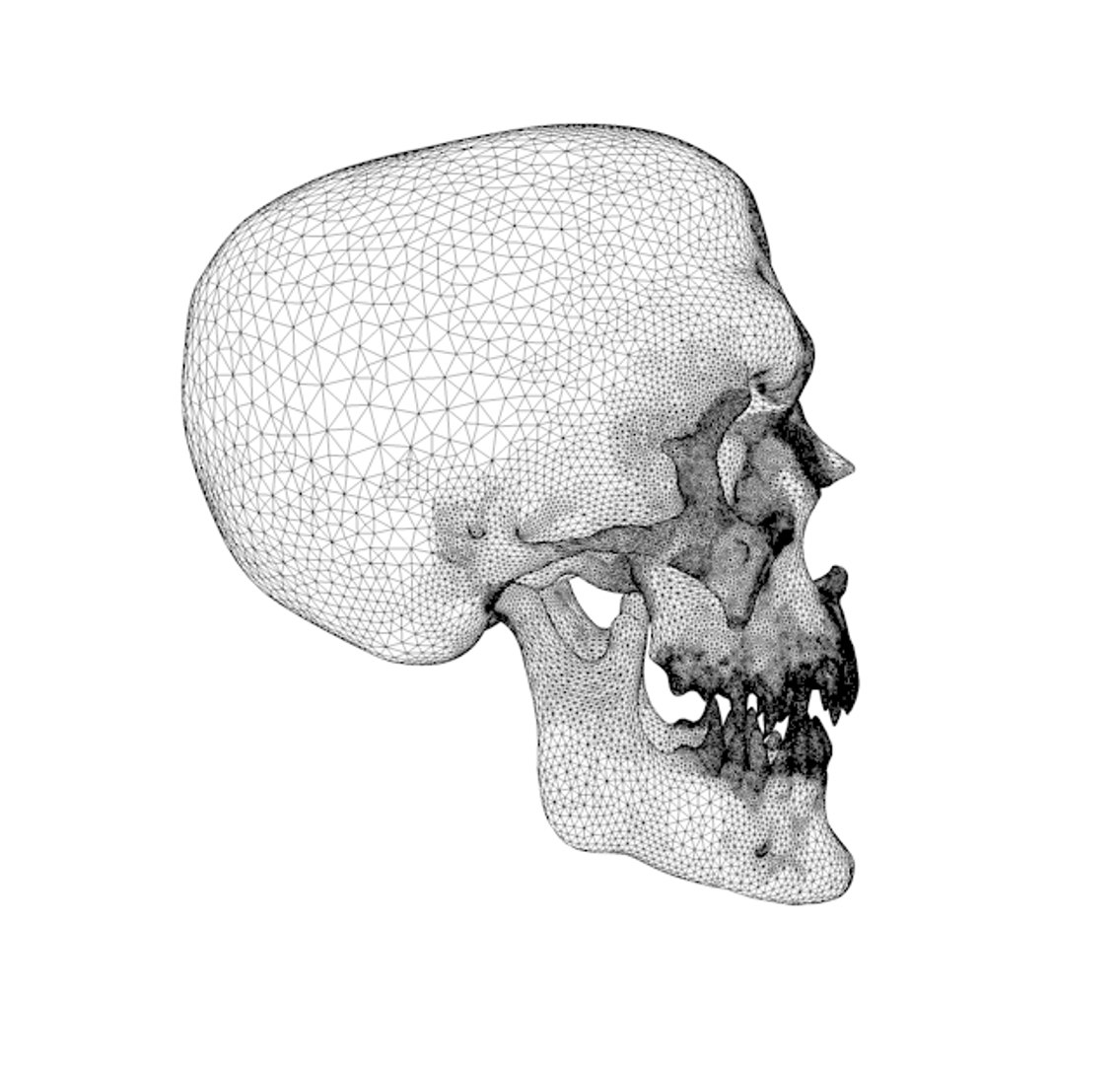 Horror Skull 3D Model - TurboSquid 1517910