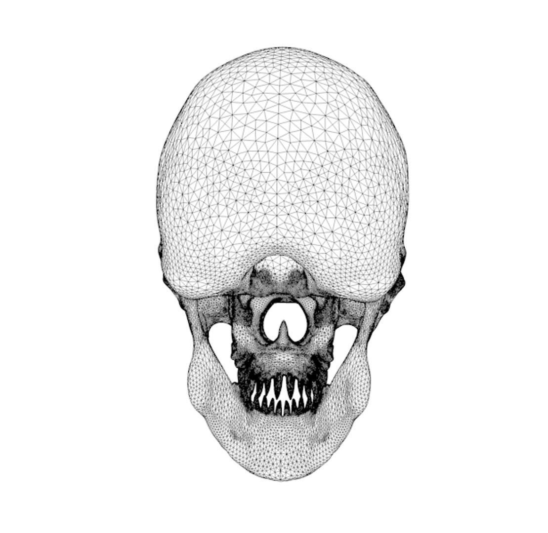 Horror Skull 3D Model - TurboSquid 1517910