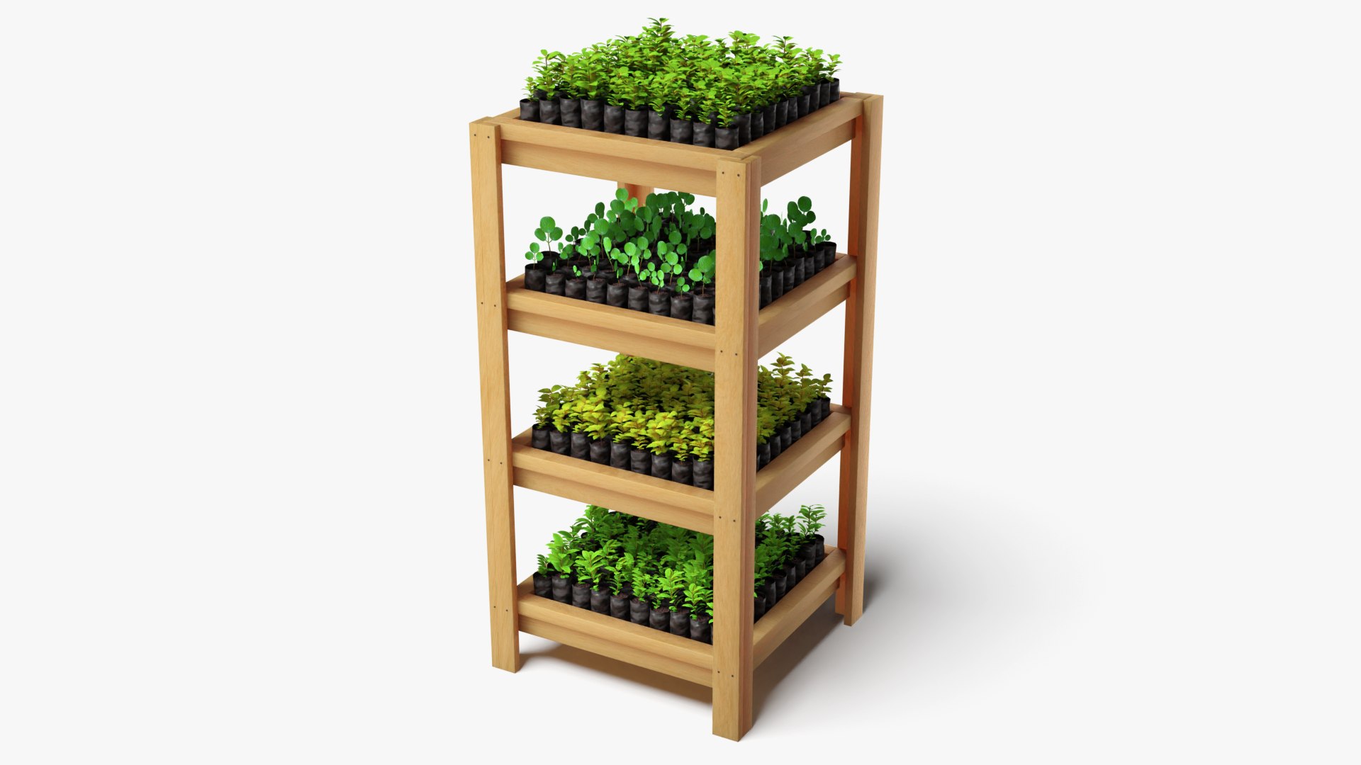 Plant Display 3D - TurboSquid 1942443