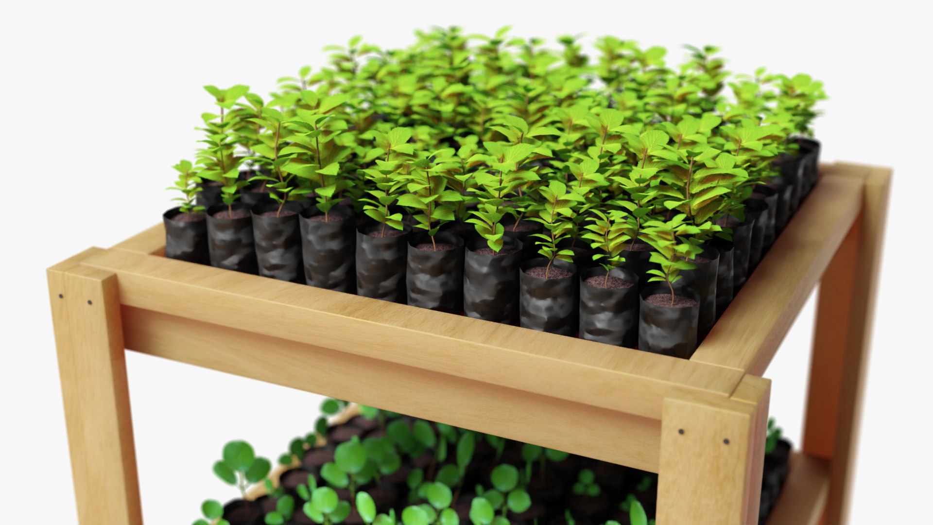 Plant Display 3D - TurboSquid 1942443