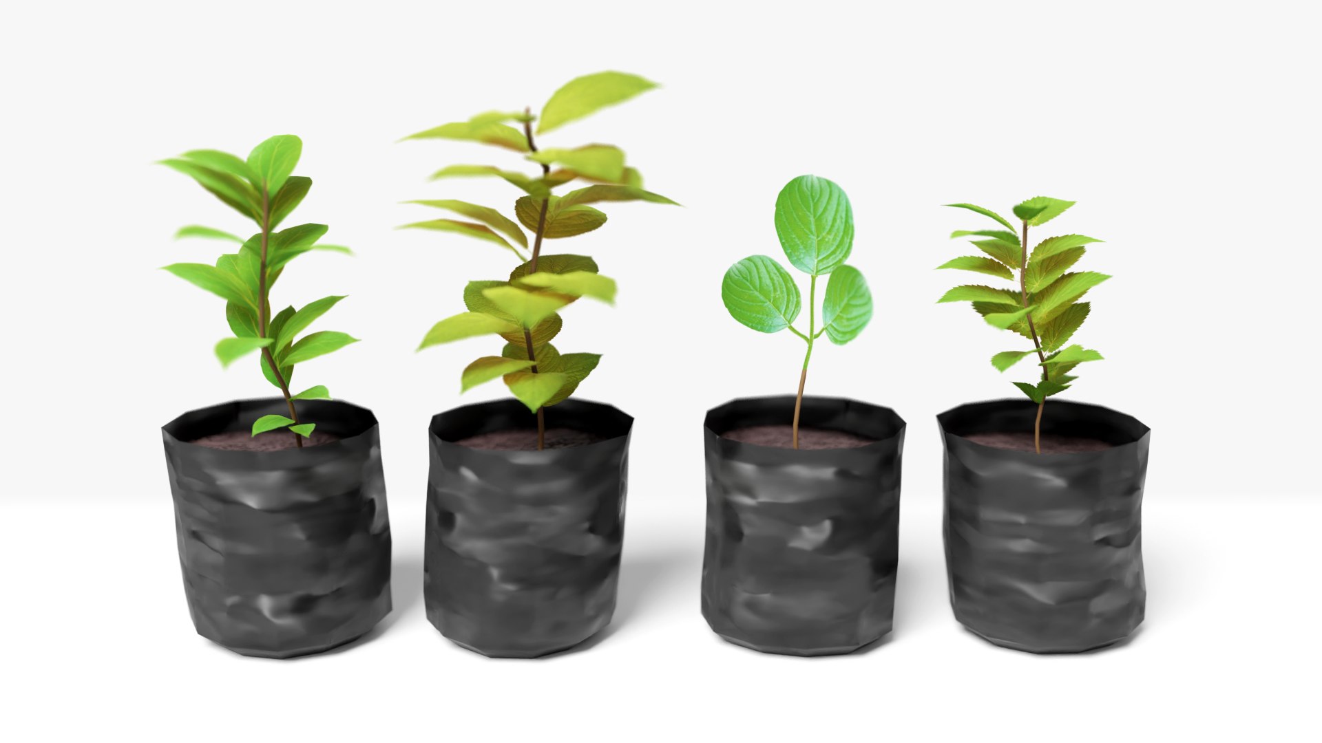 Plant Display 3D - TurboSquid 1942443