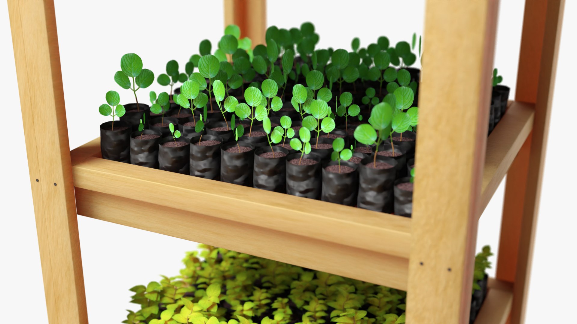 Plant Display 3D - TurboSquid 1942443