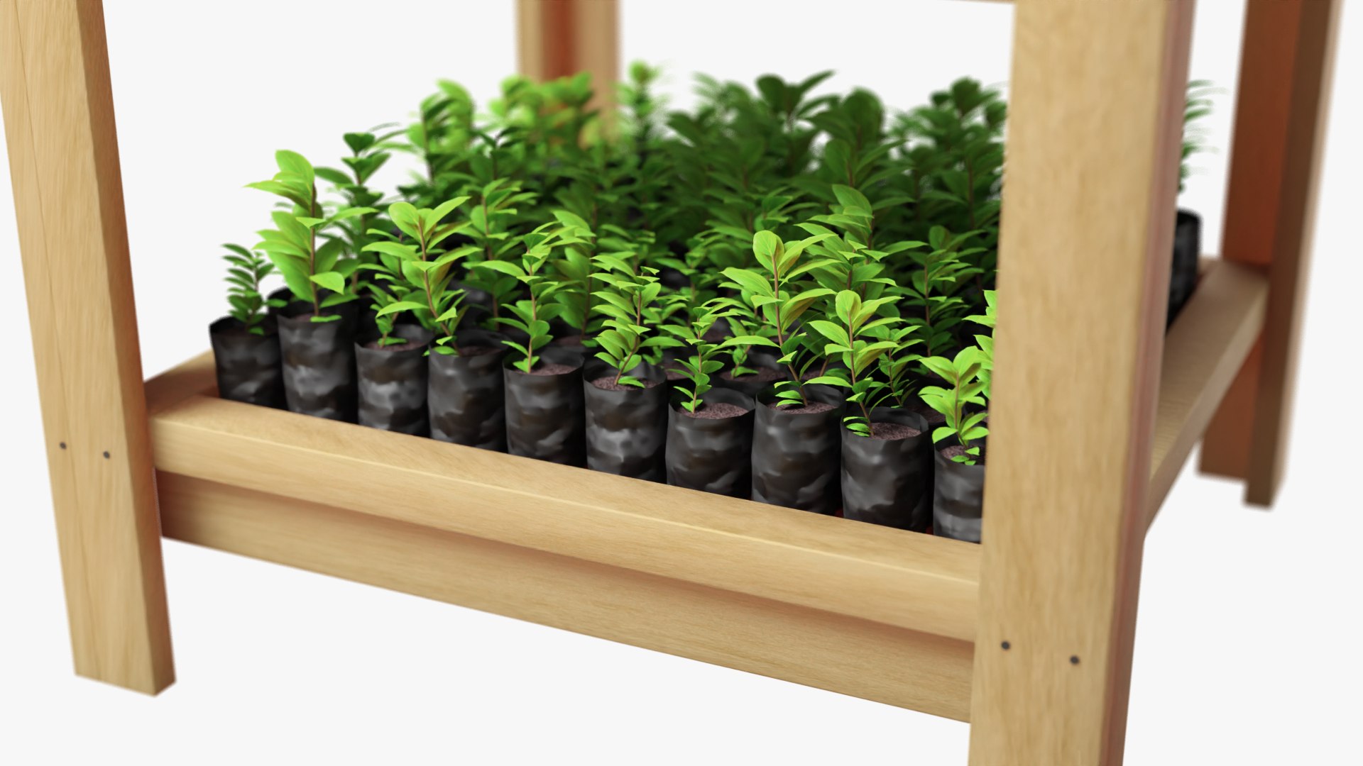 Plant Display 3D - TurboSquid 1942443