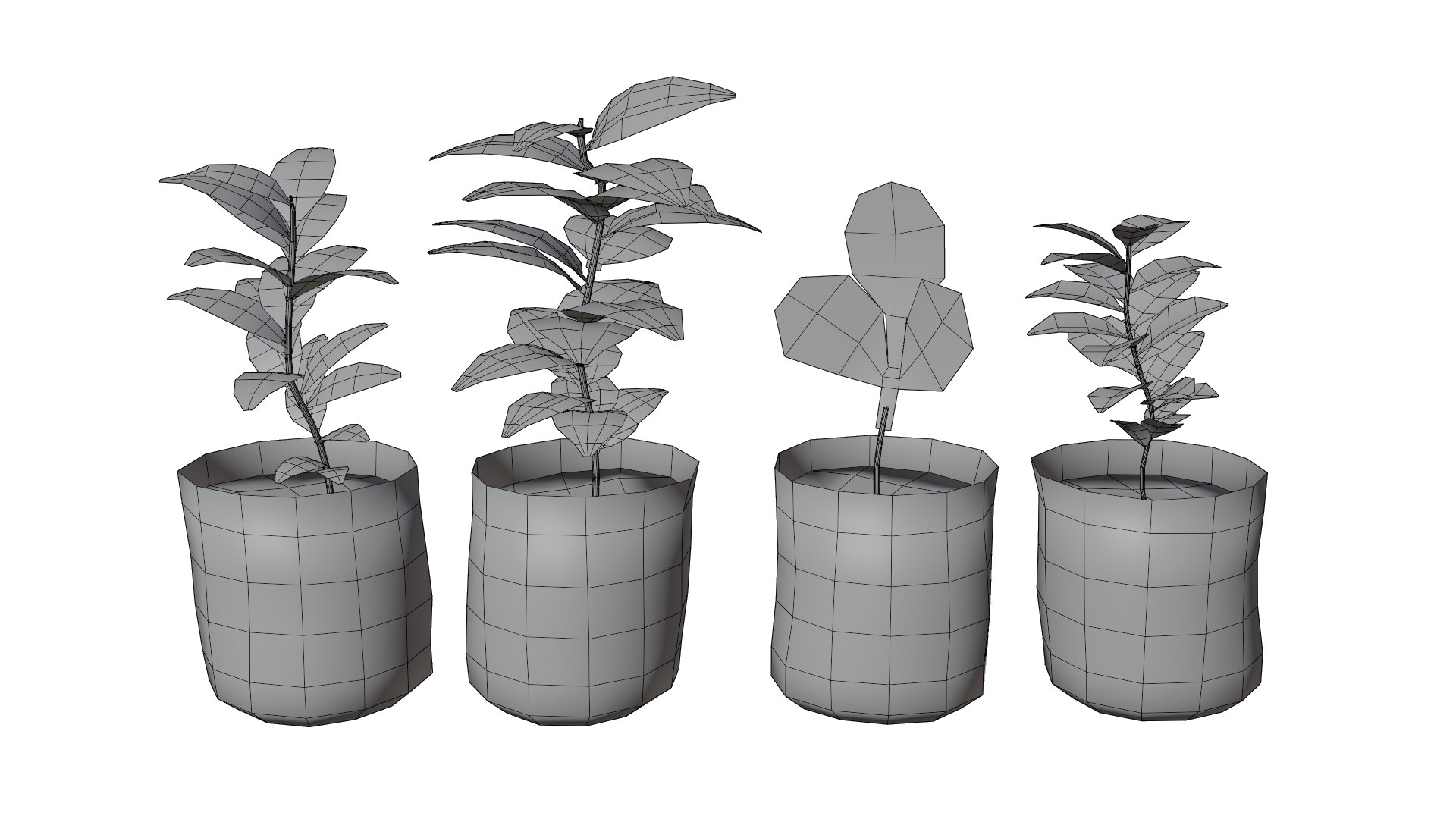 Plant Display 3D - TurboSquid 1942443