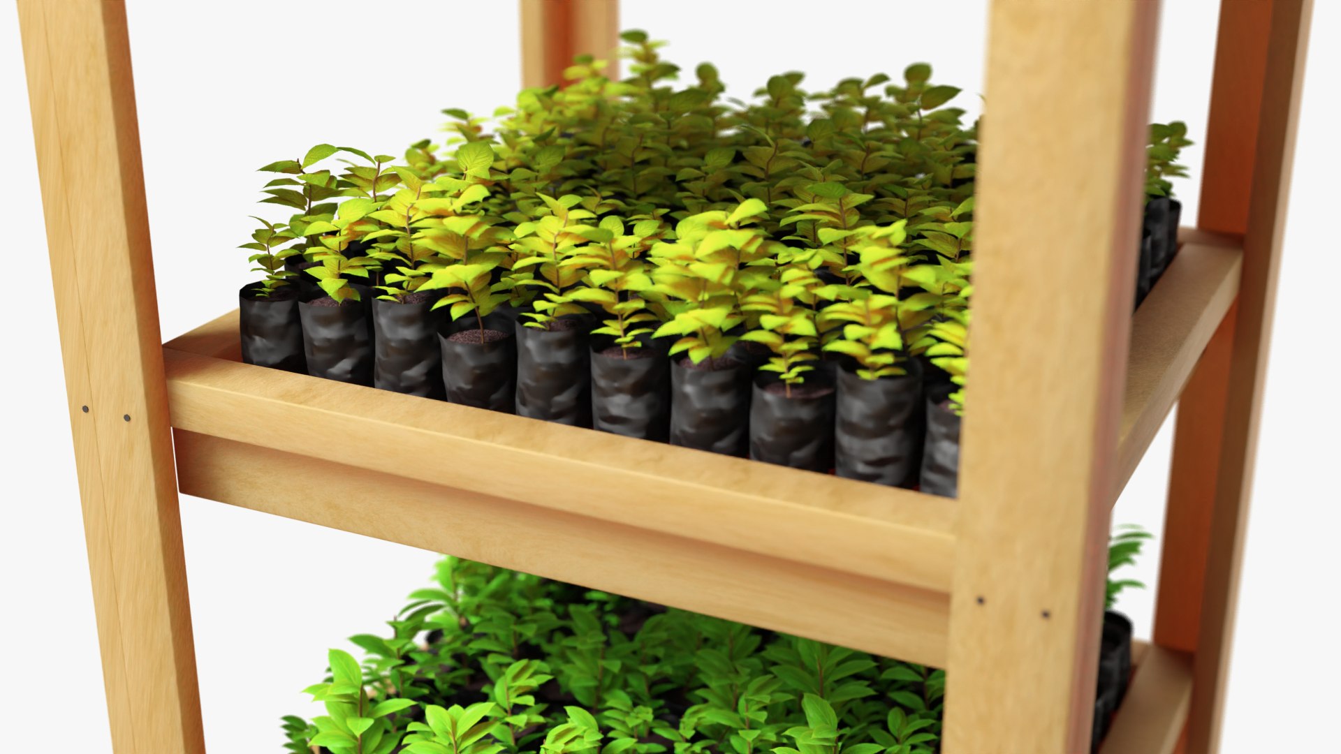 Plant Display 3D - TurboSquid 1942443