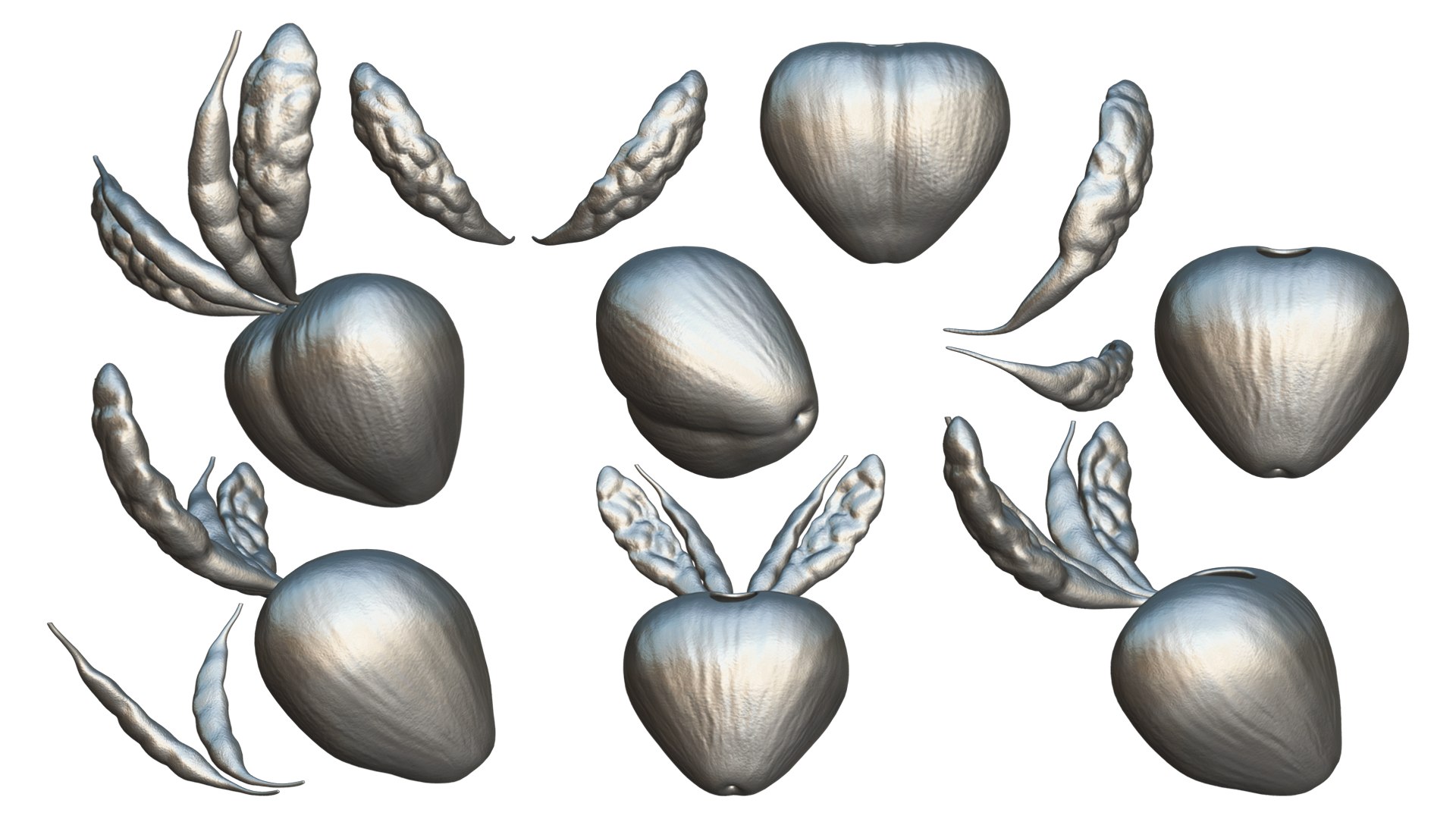 Prostate Anatomy Model - TurboSquid 2142634