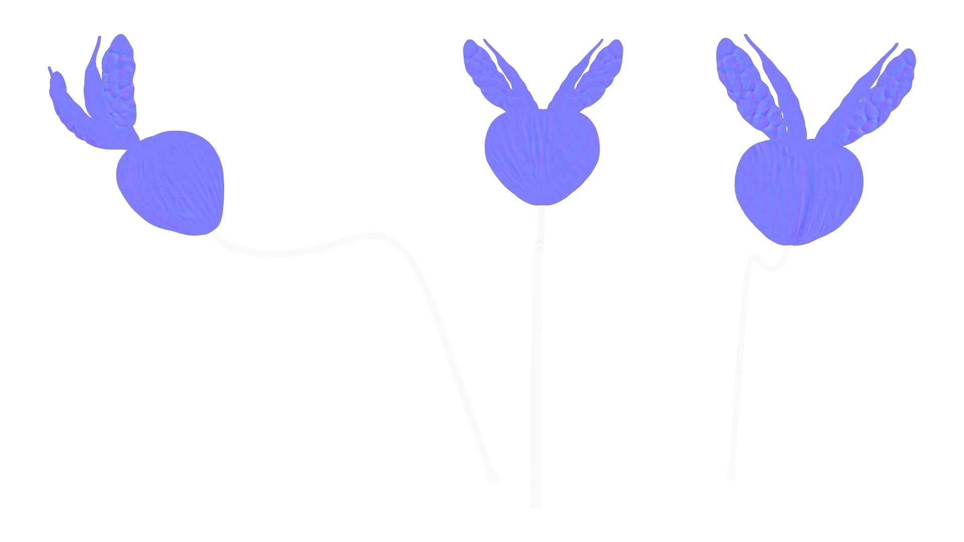 Prostate Anatomy Model - TurboSquid 2142634
