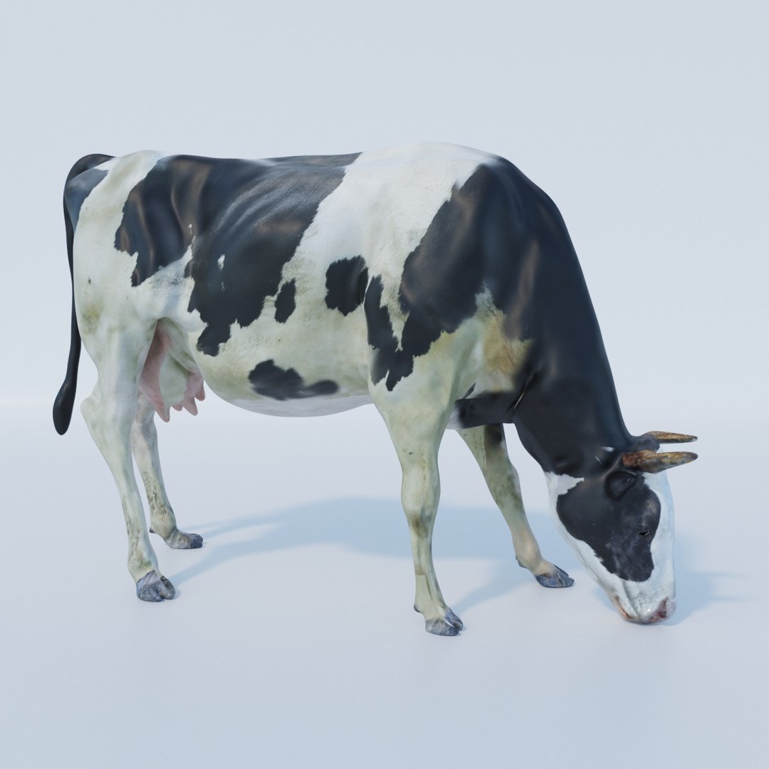 3D Cow - TurboSquid 1363266